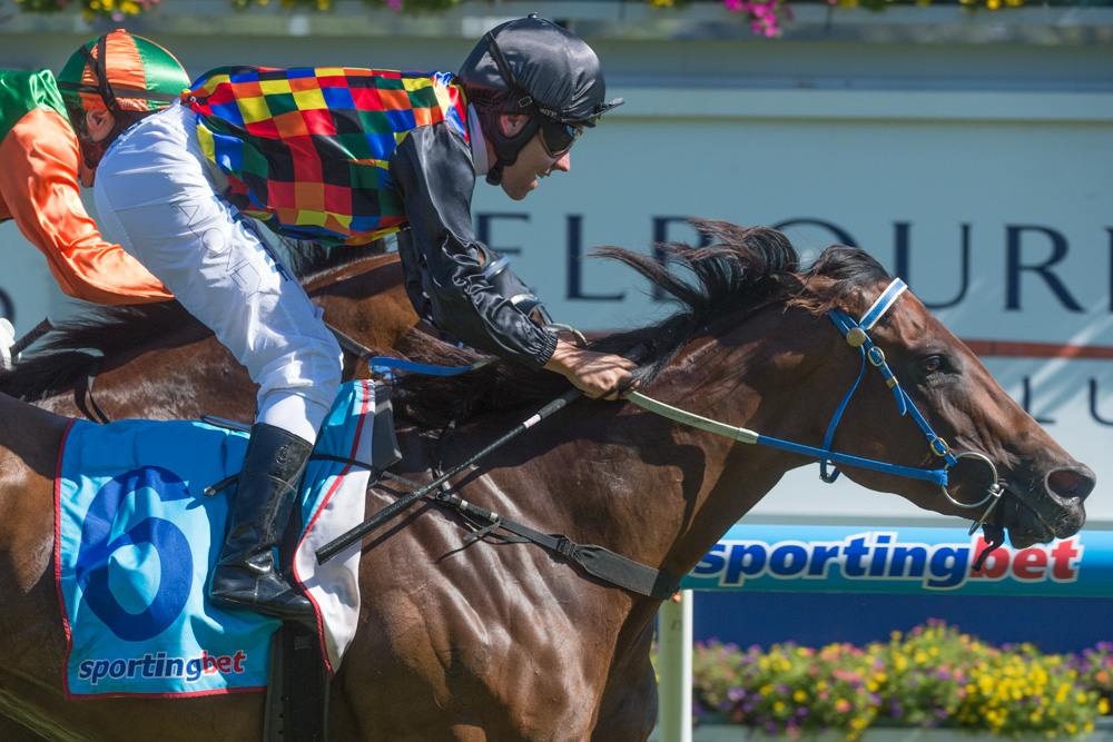 Oakleigh Plate 2014: Maloney sheds kilos to ride Shamal Wind | Sports ...