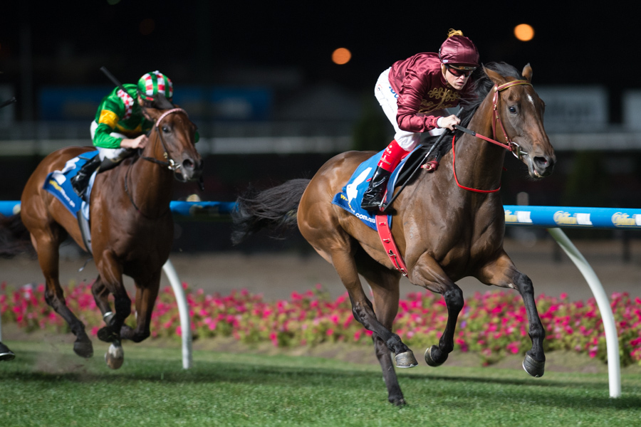 Doomben Cup 2016 day Racing Tips – Doomben races 21/5/2016 | Sports ...