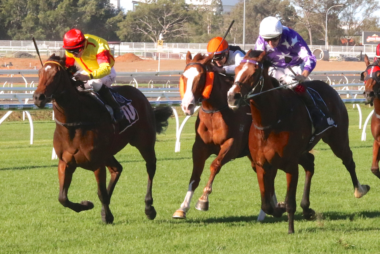 Run To The Rose 2016 day Tips – Rosehill races 27/8/2016 | Sports News ...