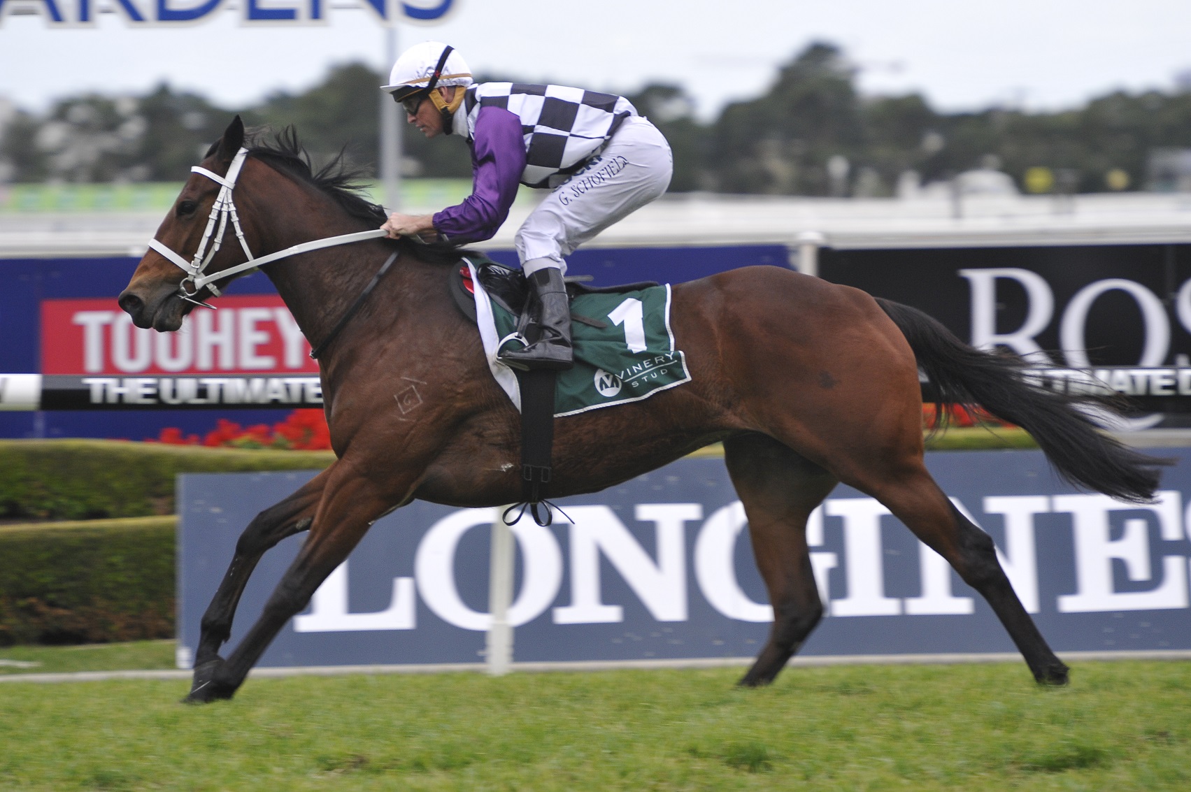 Wyong Cup 2016 day Tips – Wyong races 2/9/2016 | Sports News Australia