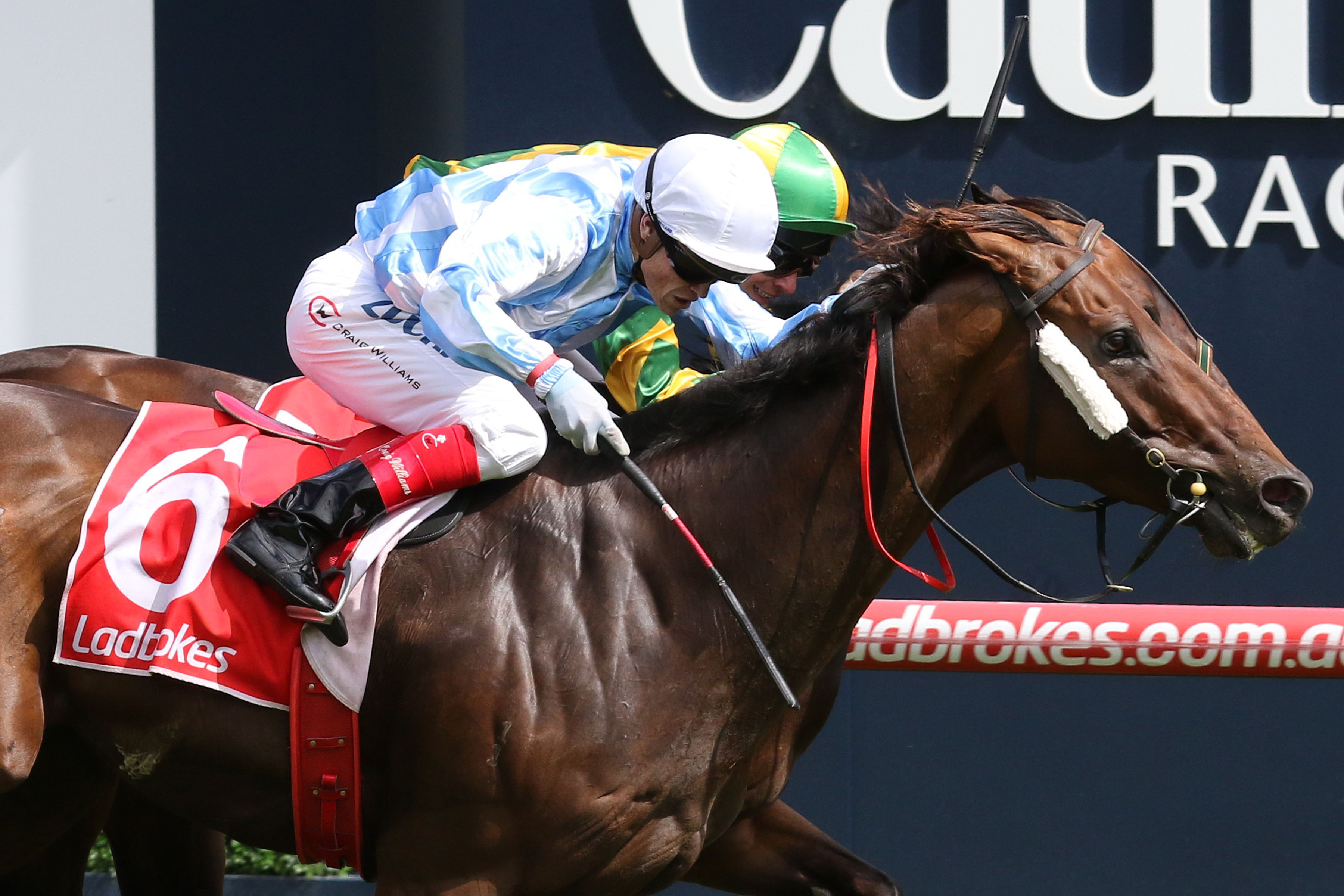 Dodging Bullets could head to Warrnambool Cup | Sports News Australia