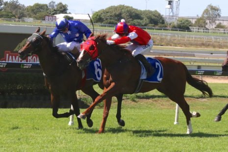 Oink to be aimed at Brisbane Winter Racing Carnival | Sports News Australia