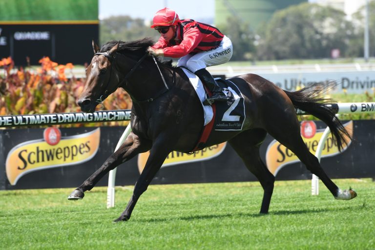 Tactical Advantage to target Darby Munro Stakes | Sports News Australia