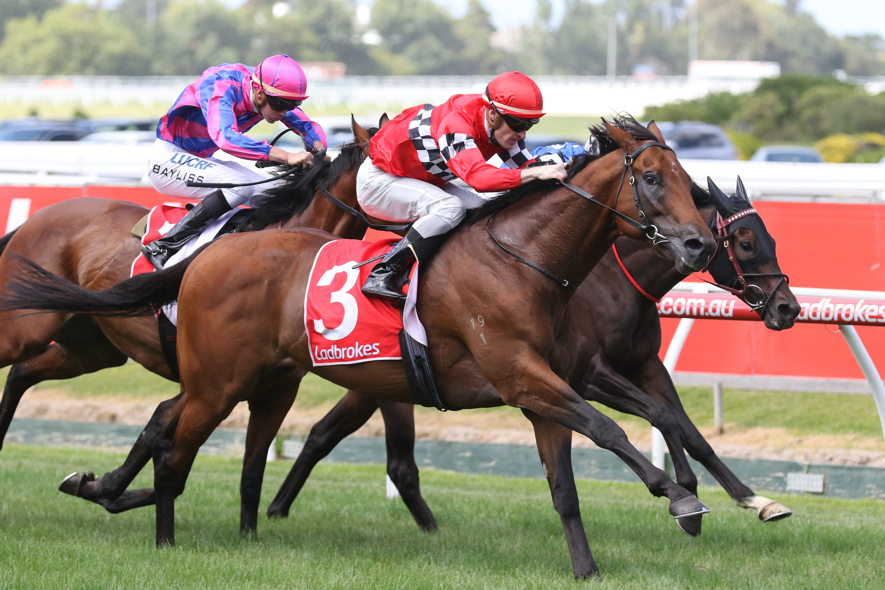 Sydney Cup: Jockey excited about opportunity | Sports News Australia