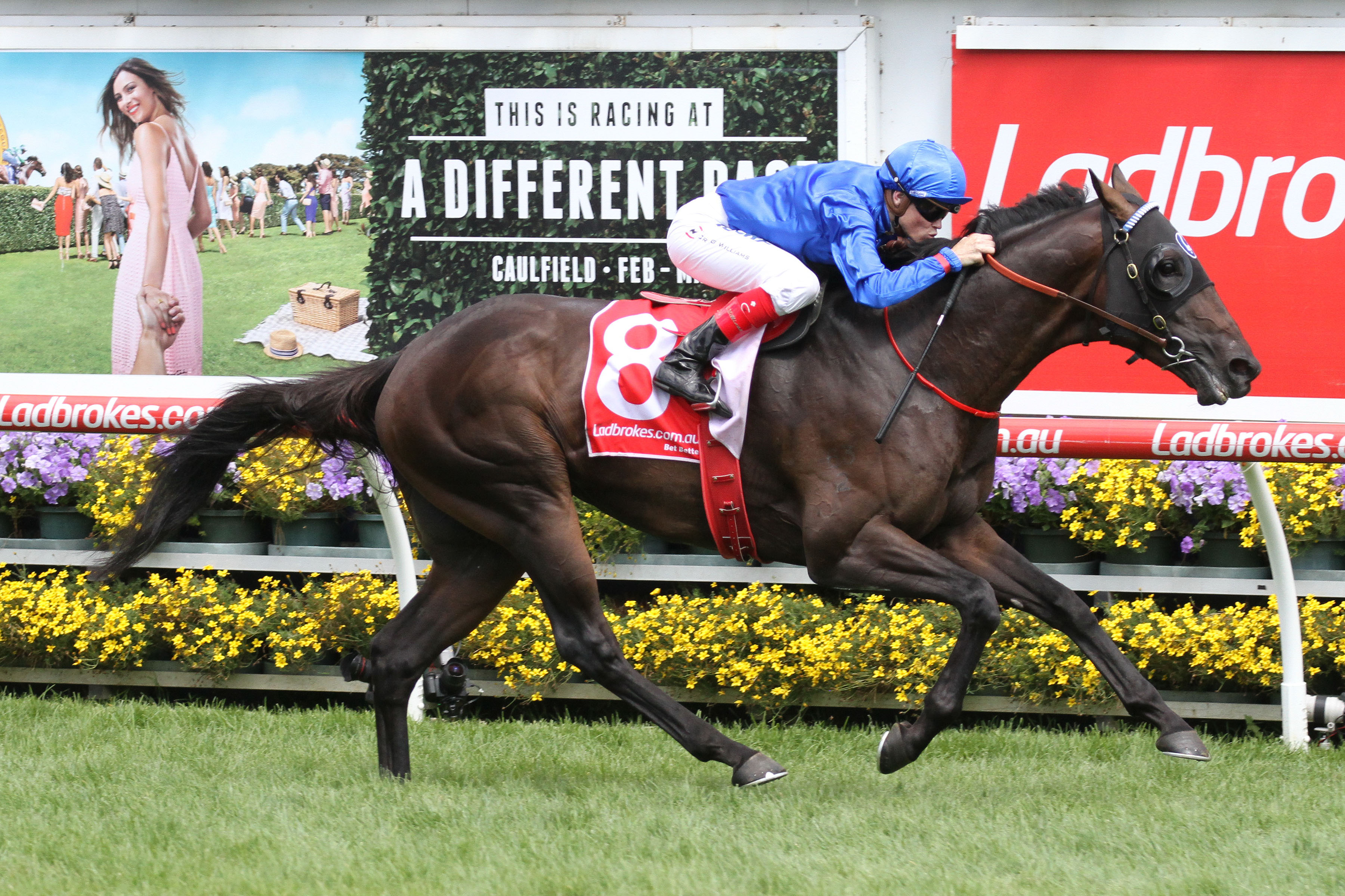 Mornington Cup 2017 day Tips – Mornington Races 25/3/2017 | Sports News ...