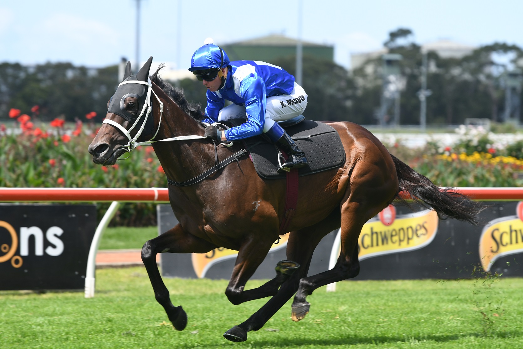 George Ryder Stakes Final Field – 2017 | Sports News Australia