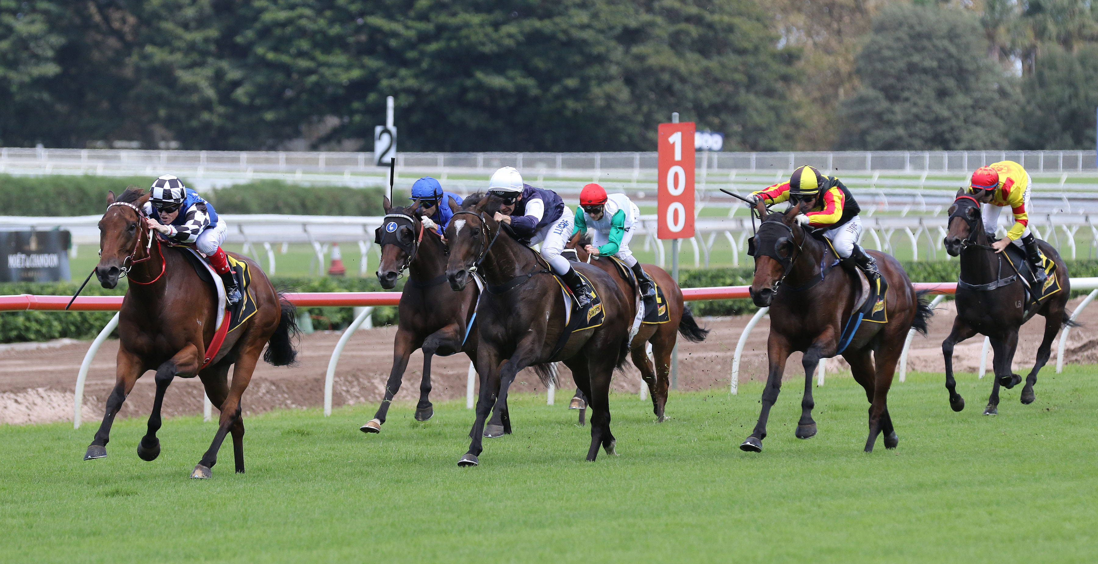 Big Duke heads odds for Sydney Cup 2017 | Sports News Australia