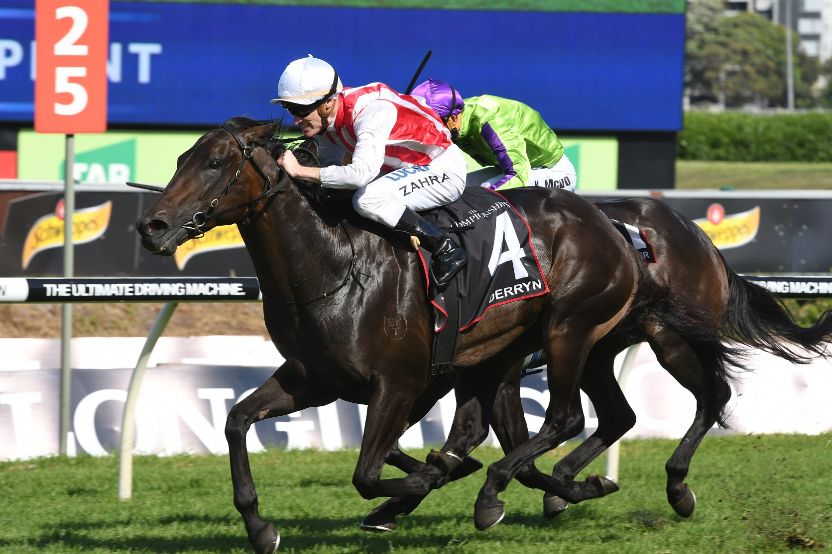 Derryn impressive in Arrowfield Sprint win | Sports News Australia