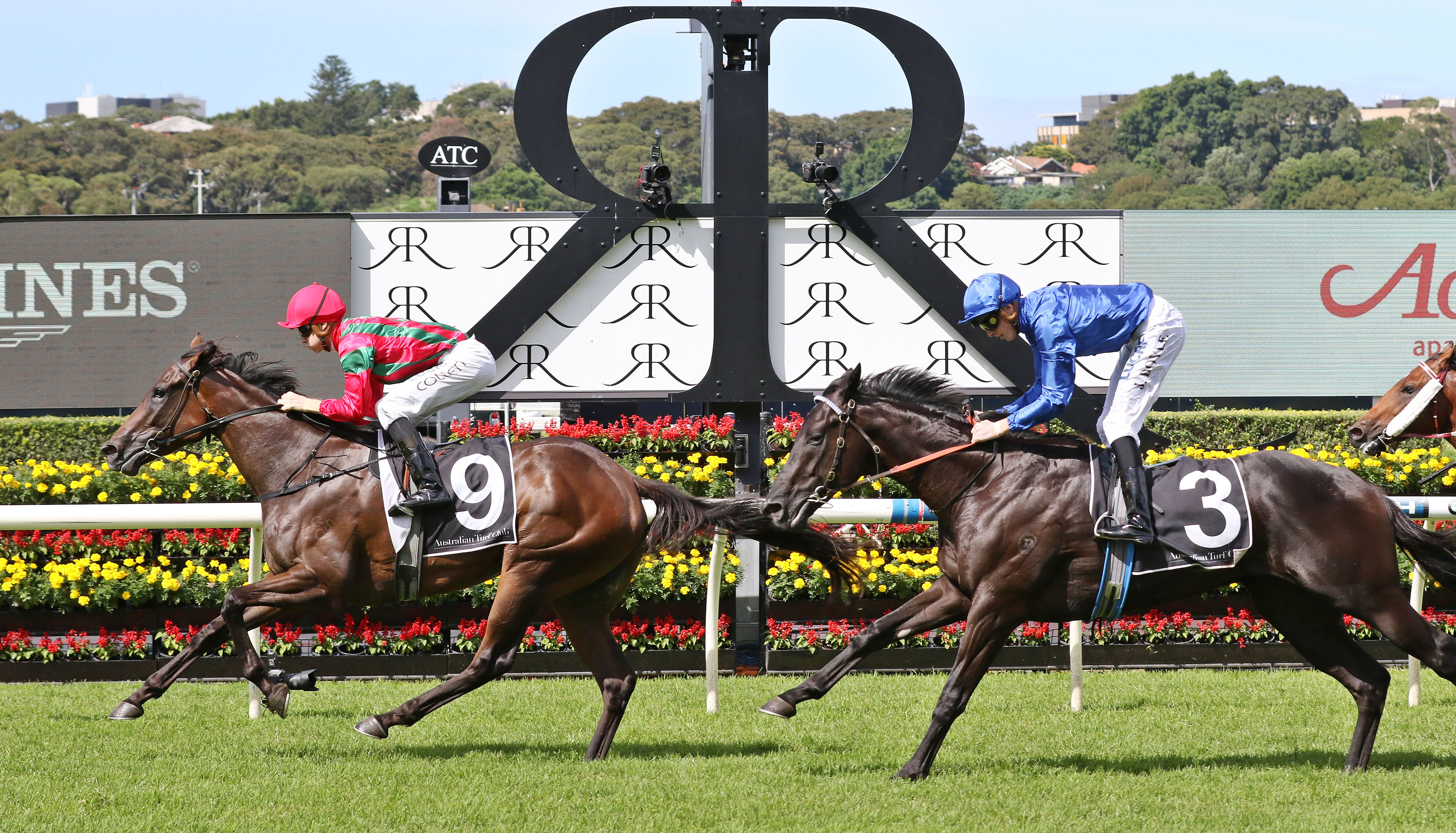 Champagne Stakes 2017 – What you need to know | Sports News Australia