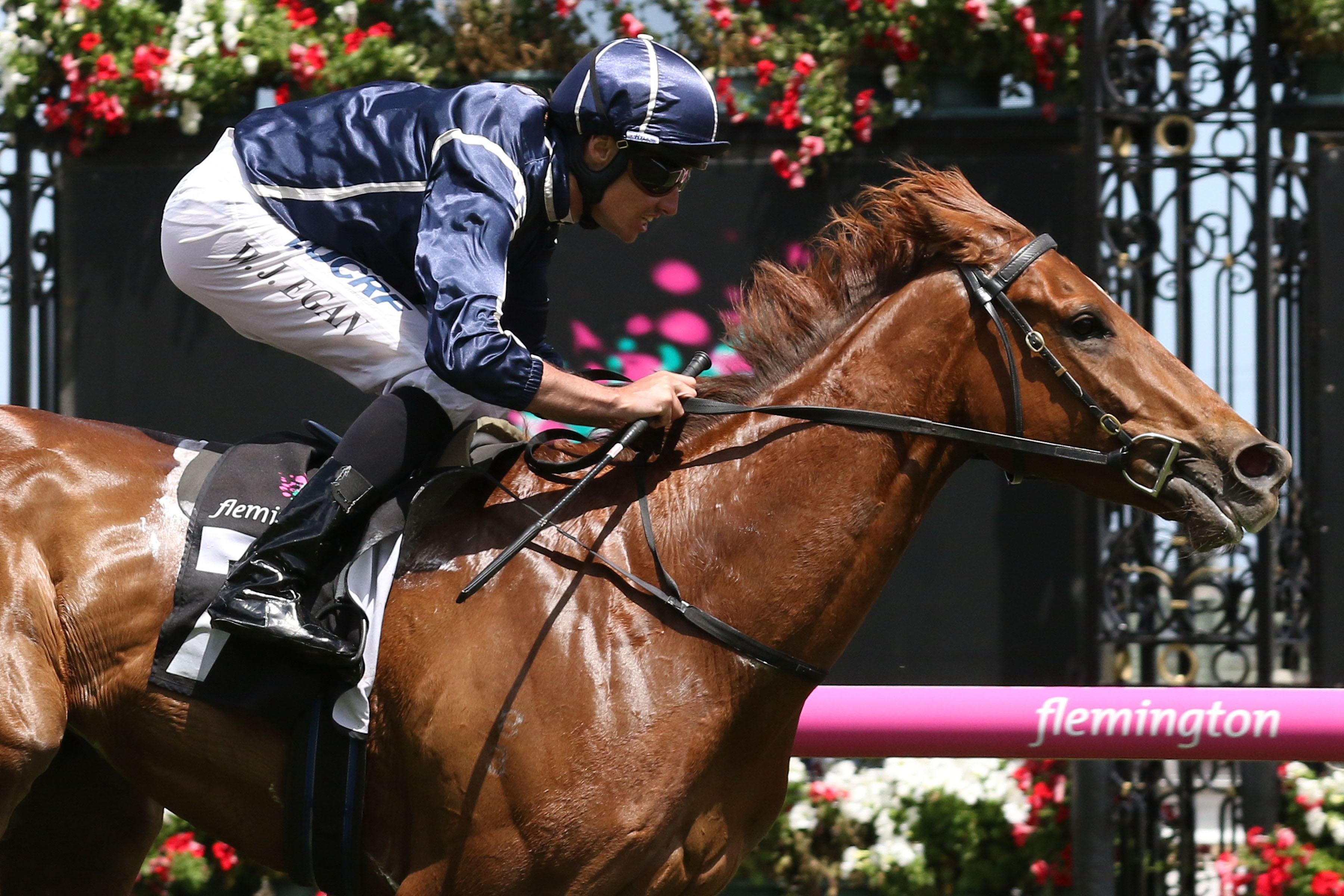 Kilmore Cup day Tips – Kilmore Races 26/11/2017 | Sports News Australia