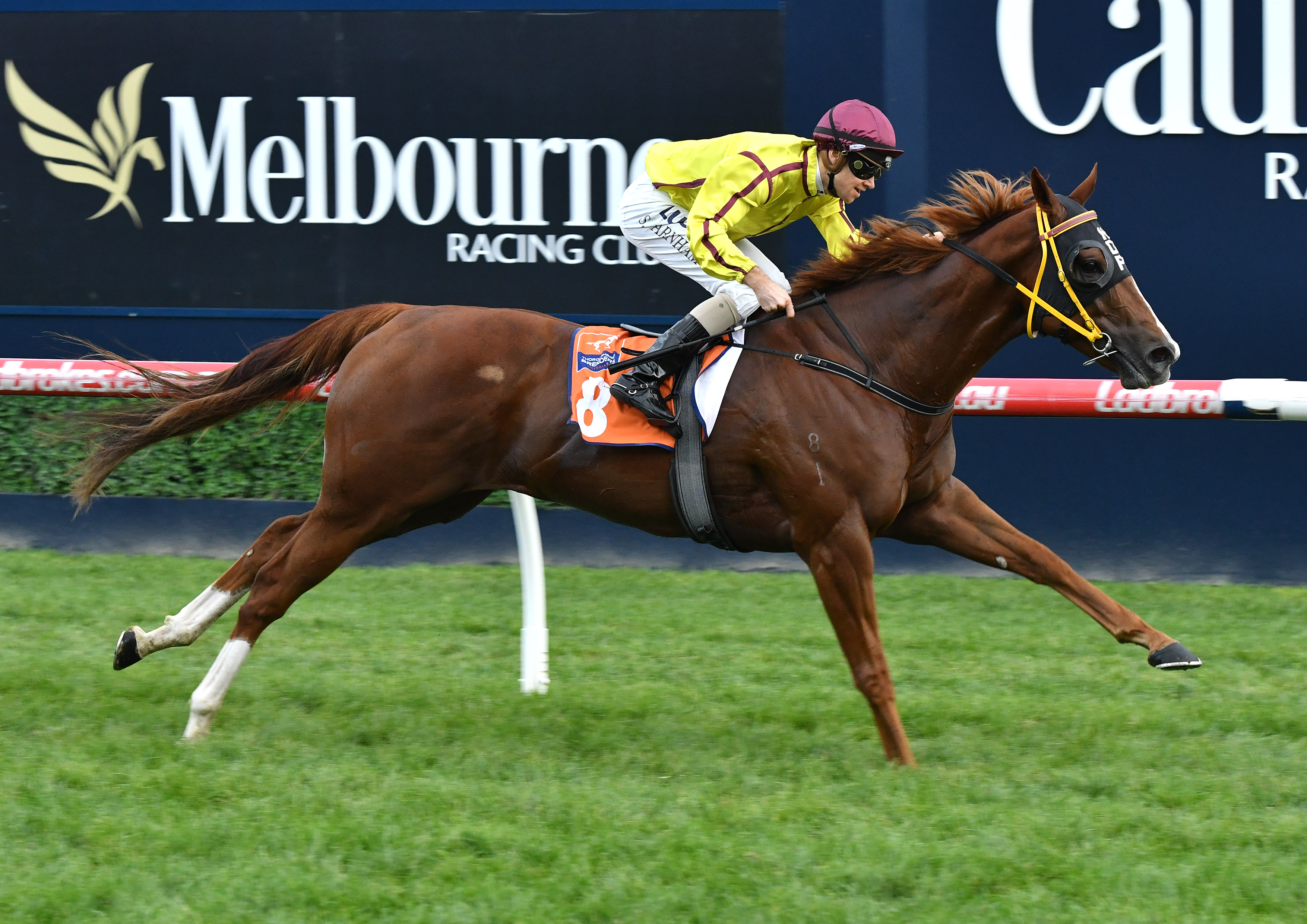 Parnham family has a day out | Sports News Australia