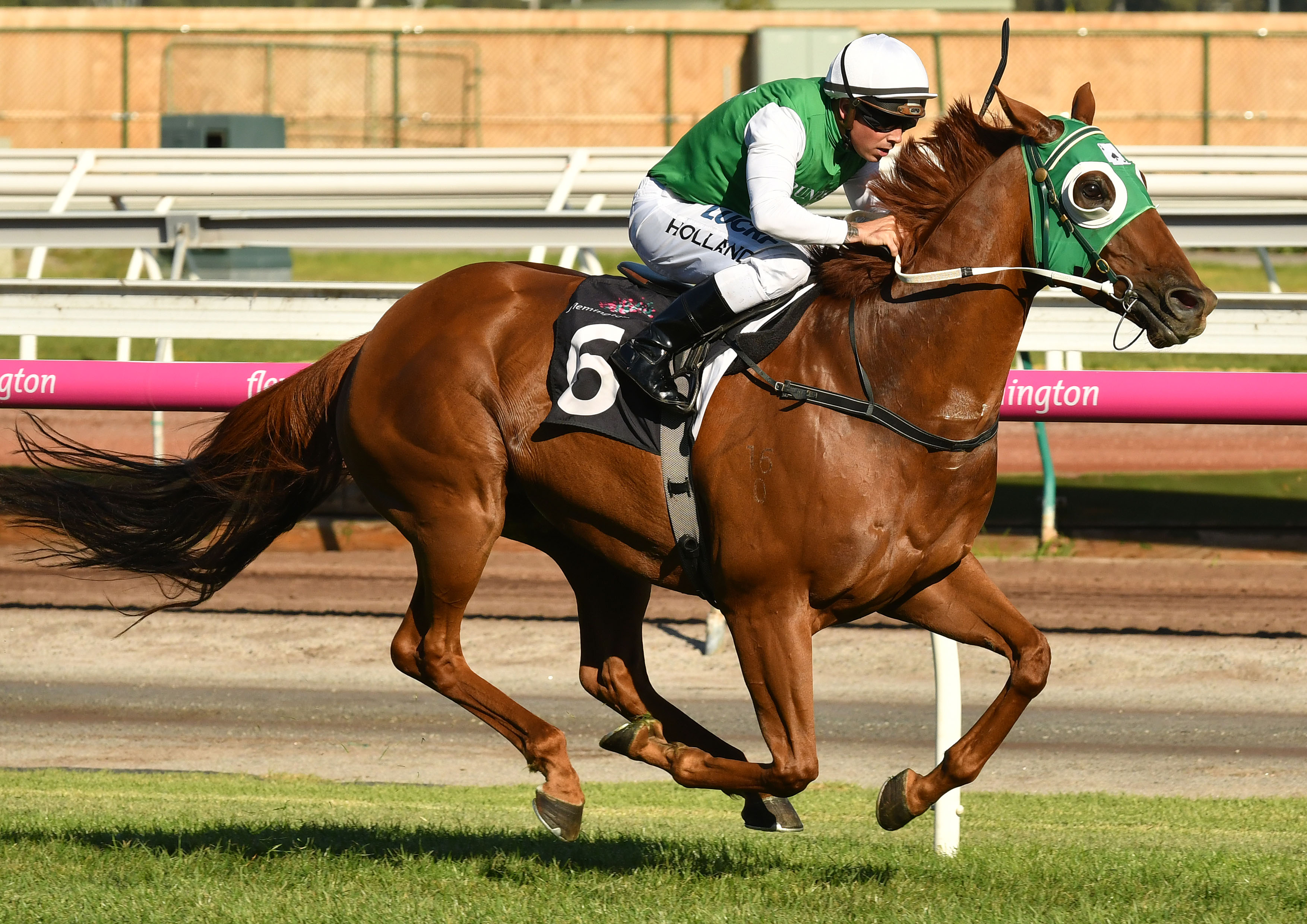Launceston Cup day Tips – Launceston Races 28/2/2018 | Sports News ...