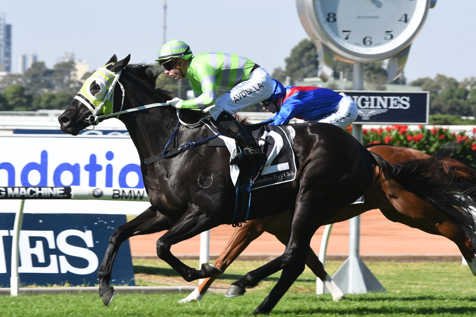 Queensland Derby Final Field – 2017 | Sports News Australia