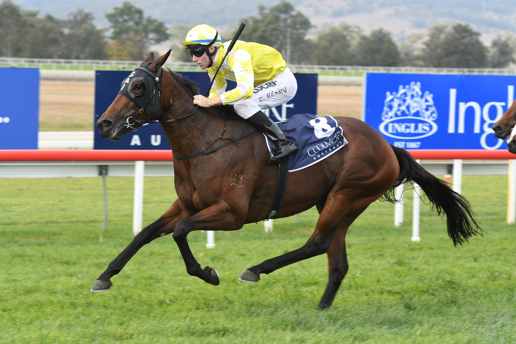 Glenlogan Park Stakes: Miss Debutante approaches crowning moment ...