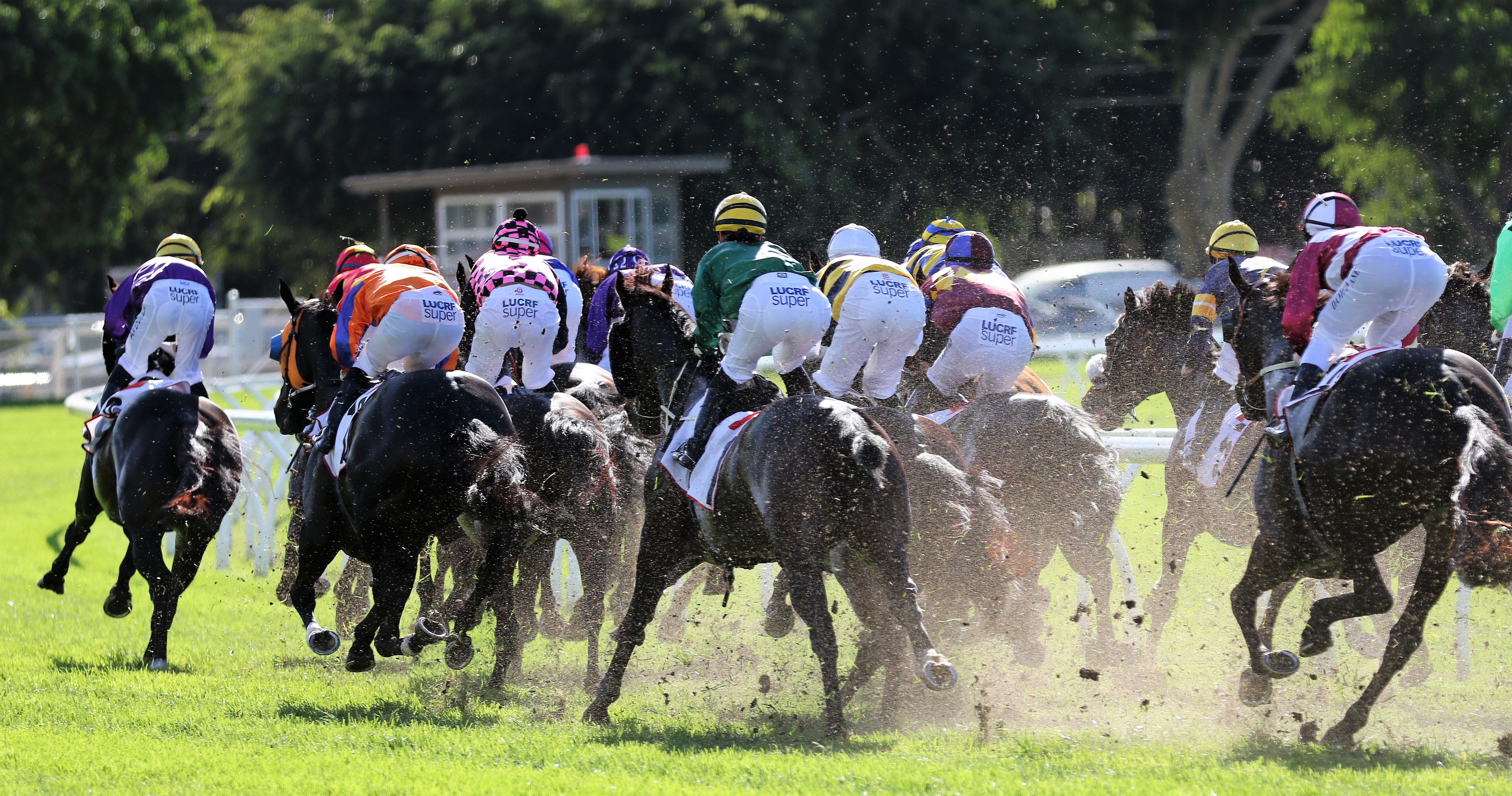 Independent review of Eagle Farm track | Sports News Australia