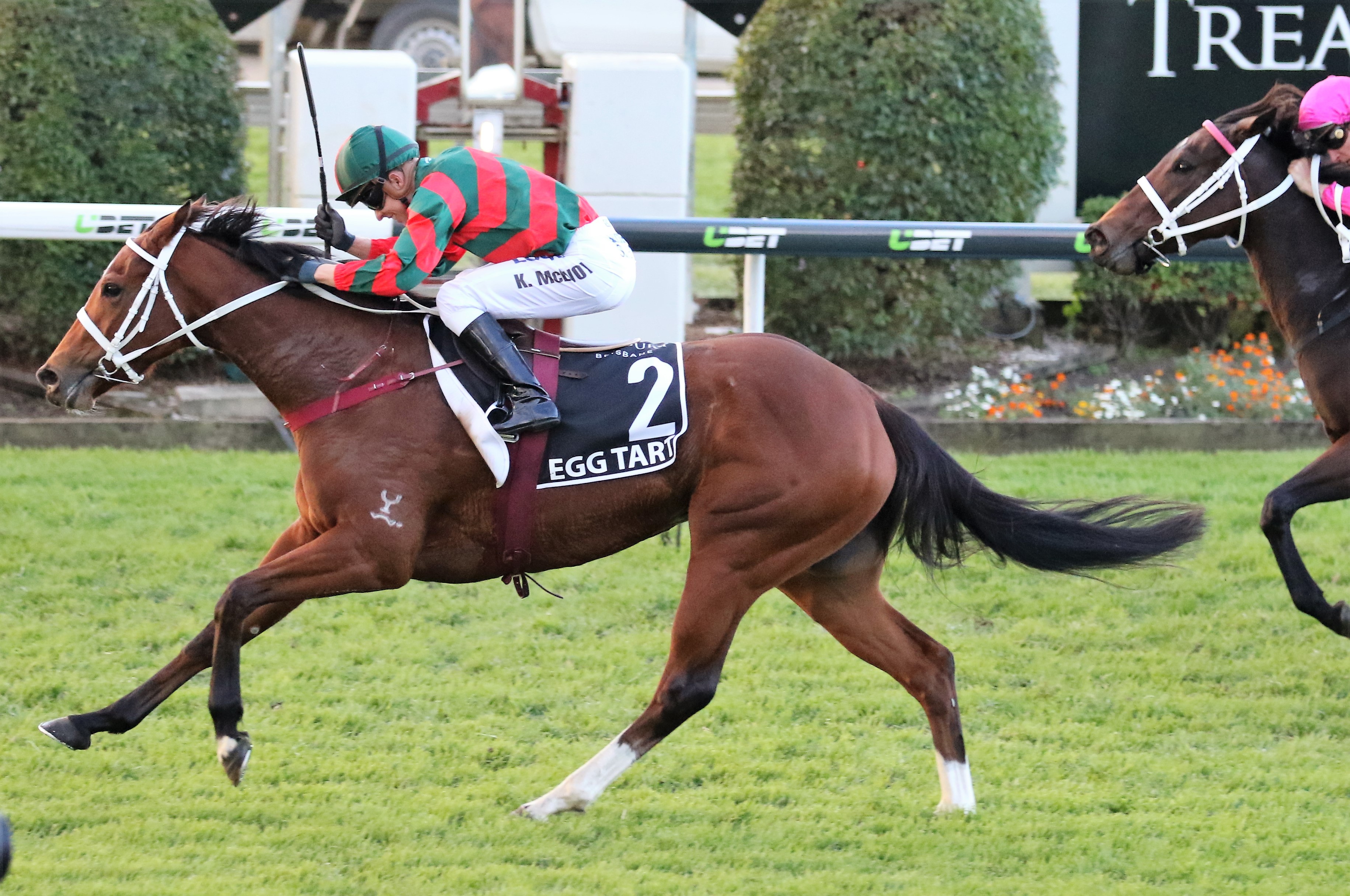 Egg Tart to gallop ahead of Epsom Handicap | Sports News Australia