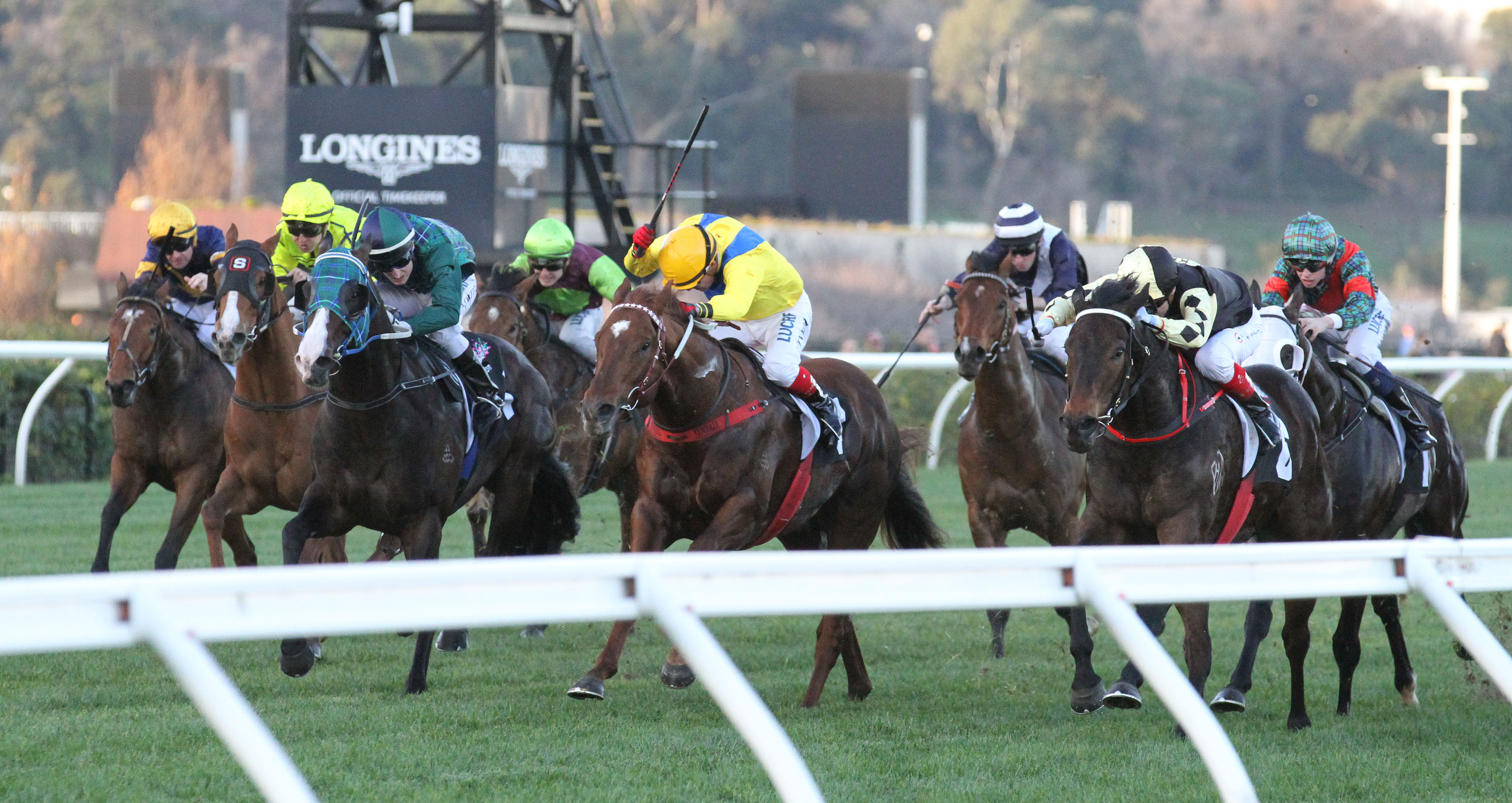Lord Von Costa dashes to Randwick | Sports News Australia