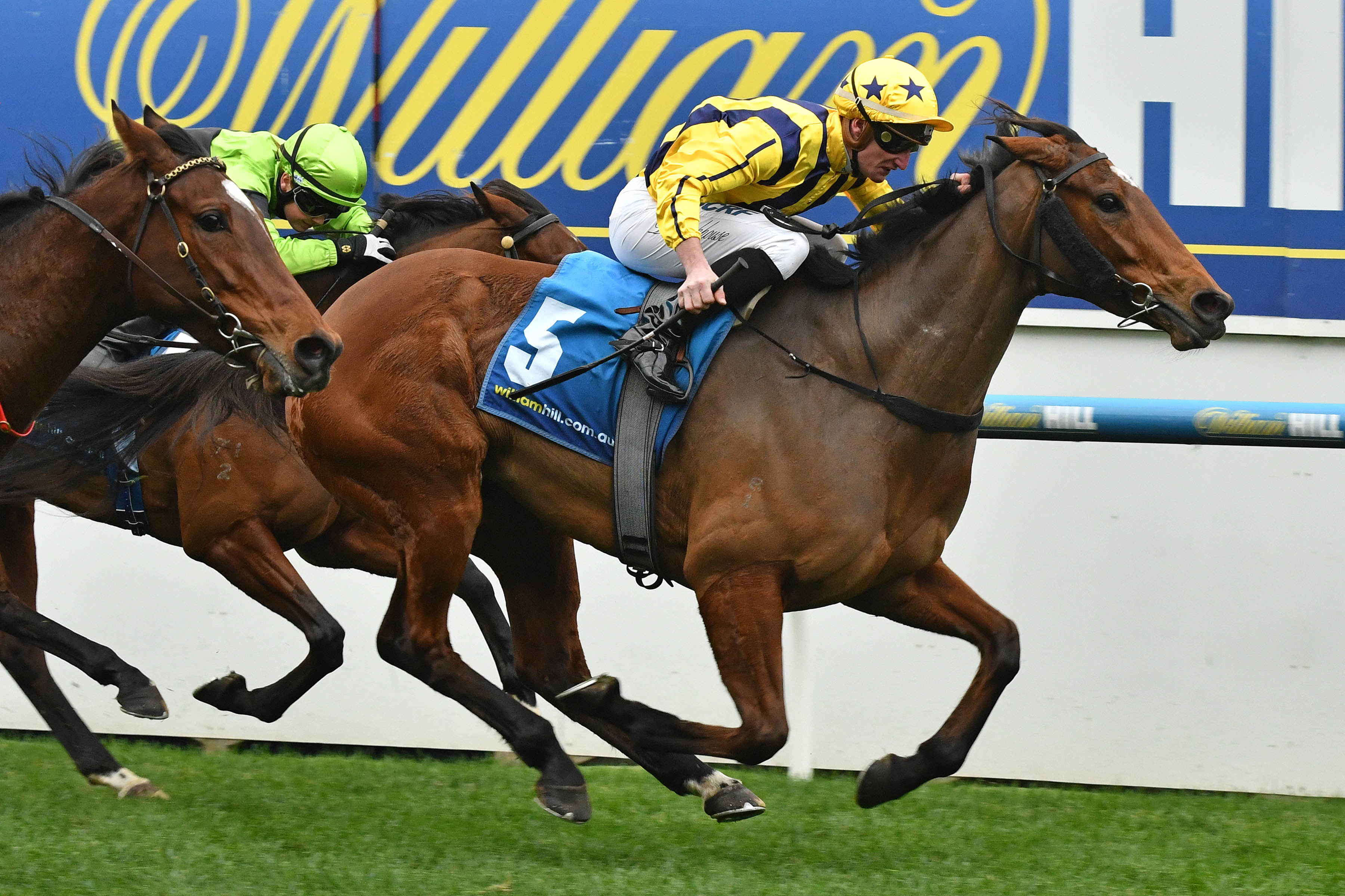 Winter Challenge 2017 day Tips – Rosehill races 29/7/2017 | Sports News ...