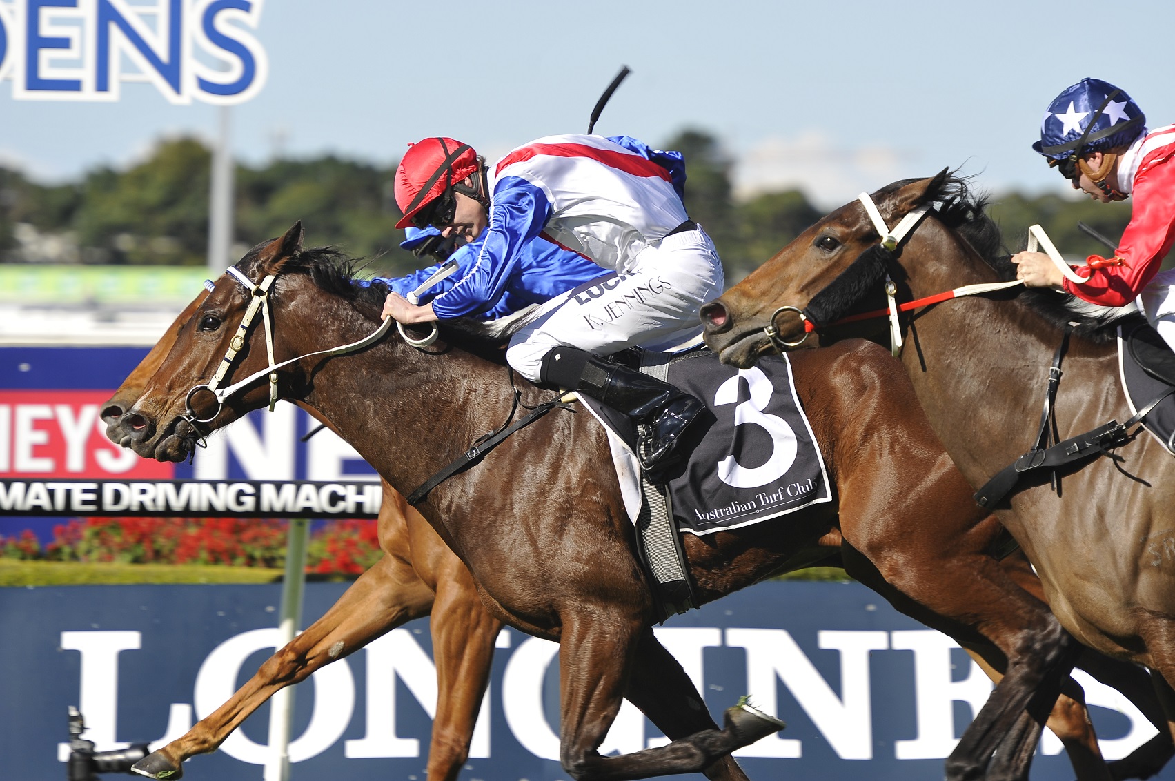 Highly Geared aims to motor in July Sprint 2017 | Sports News Australia