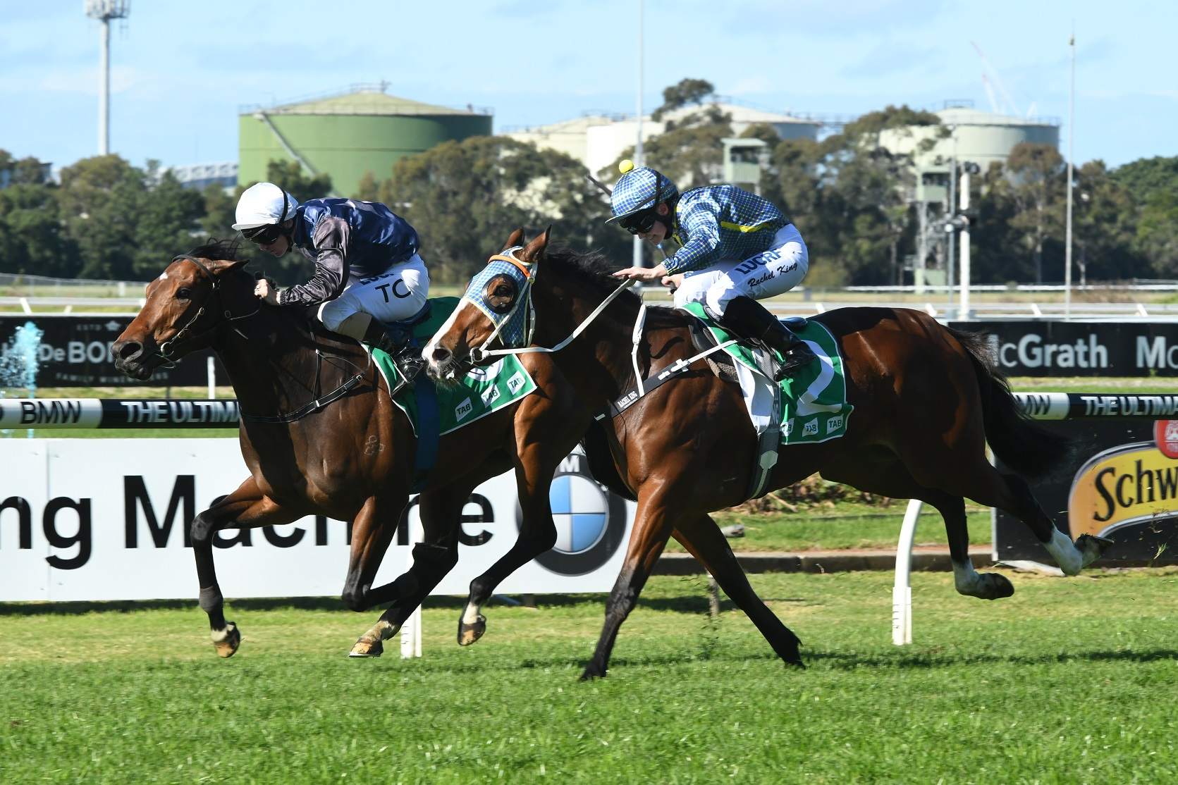 Insensata gets revenge over Just Dreaming | Sports News Australia
