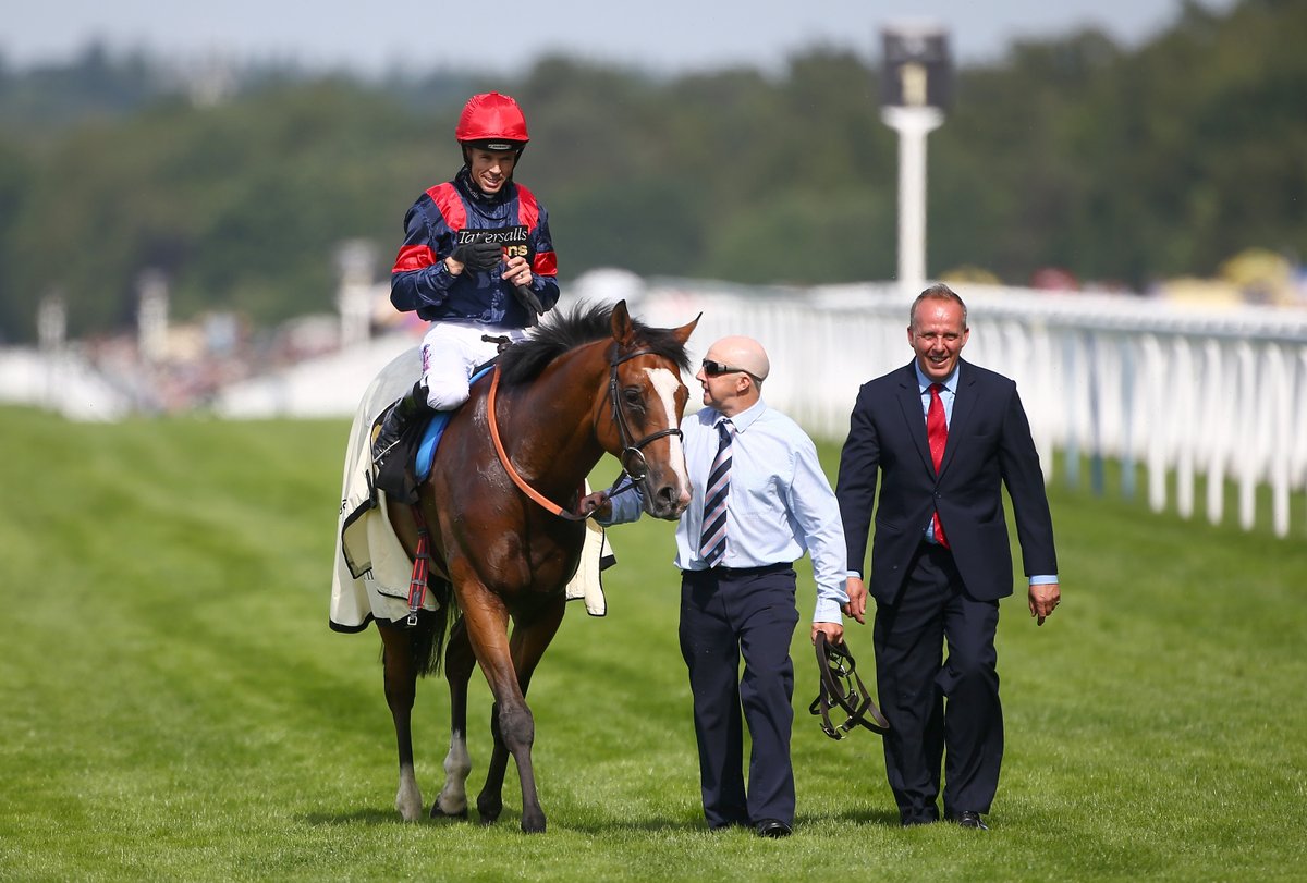 Caulfield Cup runner-up, Melbourne Cup runner retired | Sports News ...
