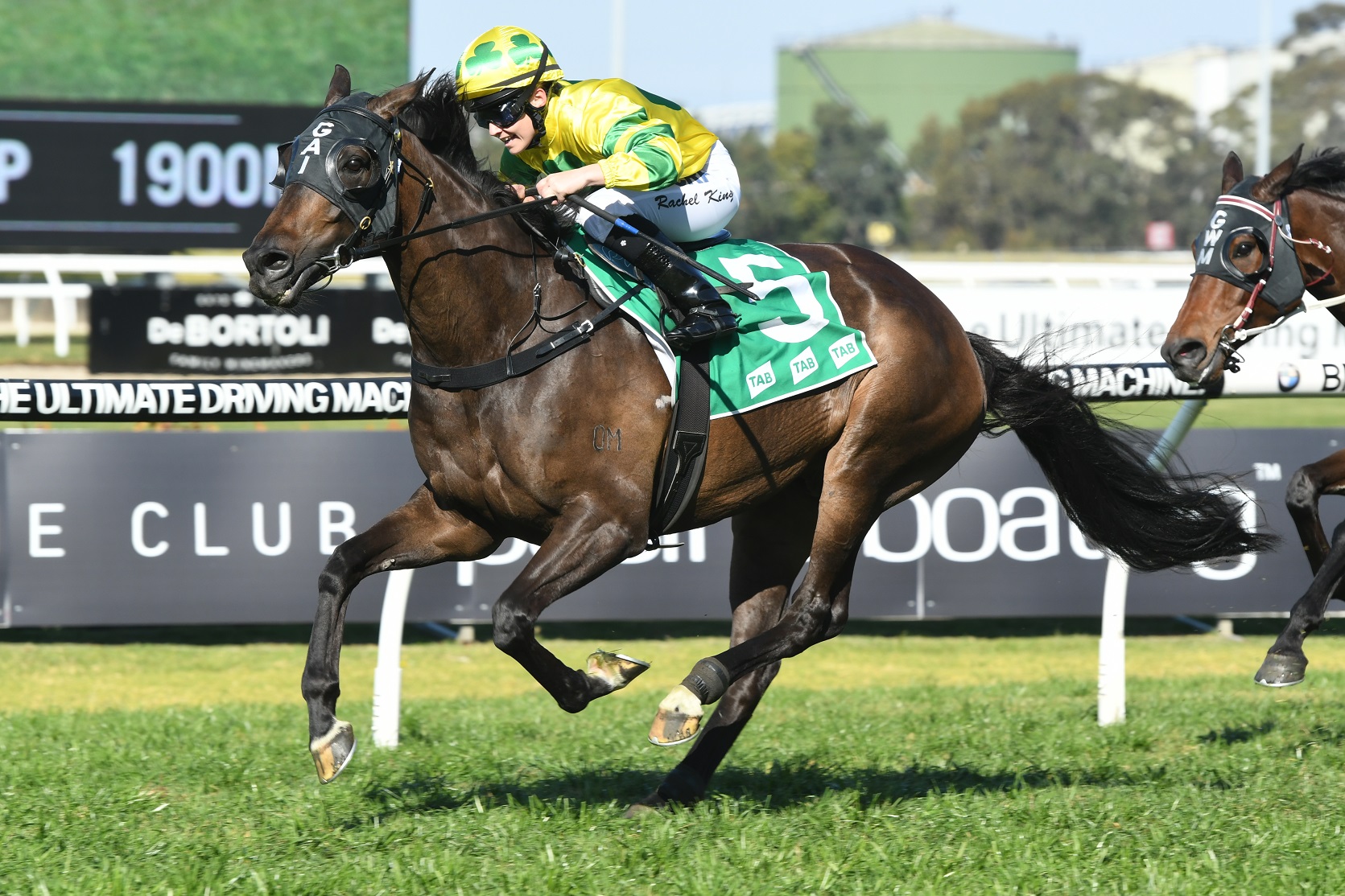 Dee I Cee likely to head to the Newcastle Cup | Sports News Australia