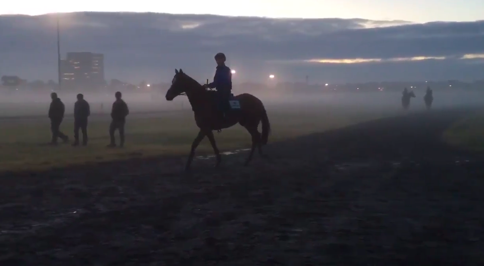 Hartnell gears up for PB Lawrence Stakes return | Sports News Australia