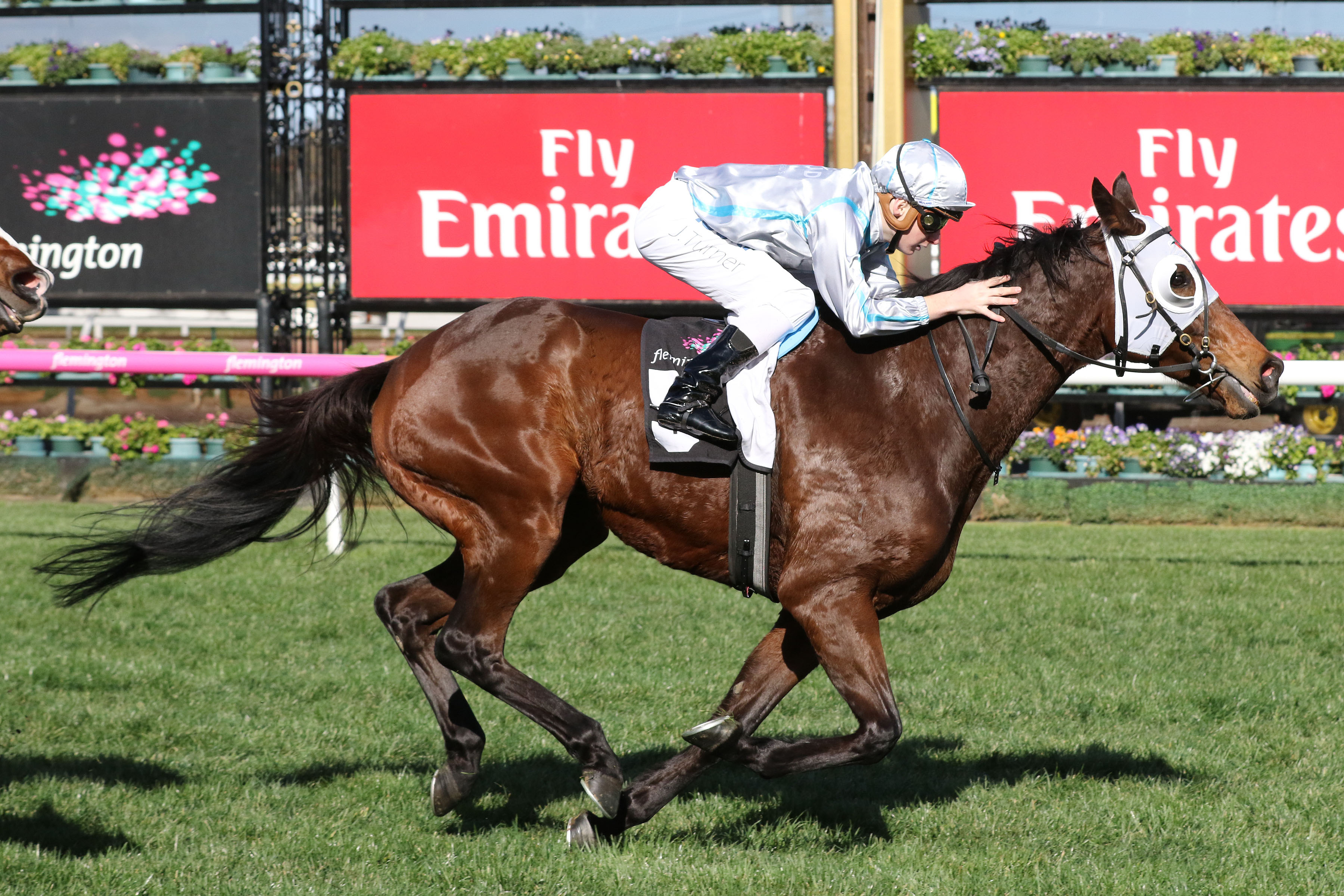 Brent Stanley thinks he has a Caulfield Cup contender | Sports News ...