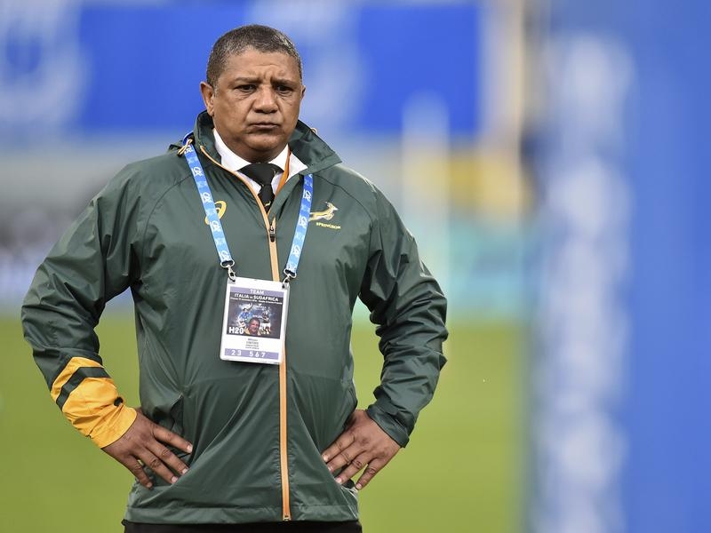 Record loss won't define Springboks: coach | Sports News Australia