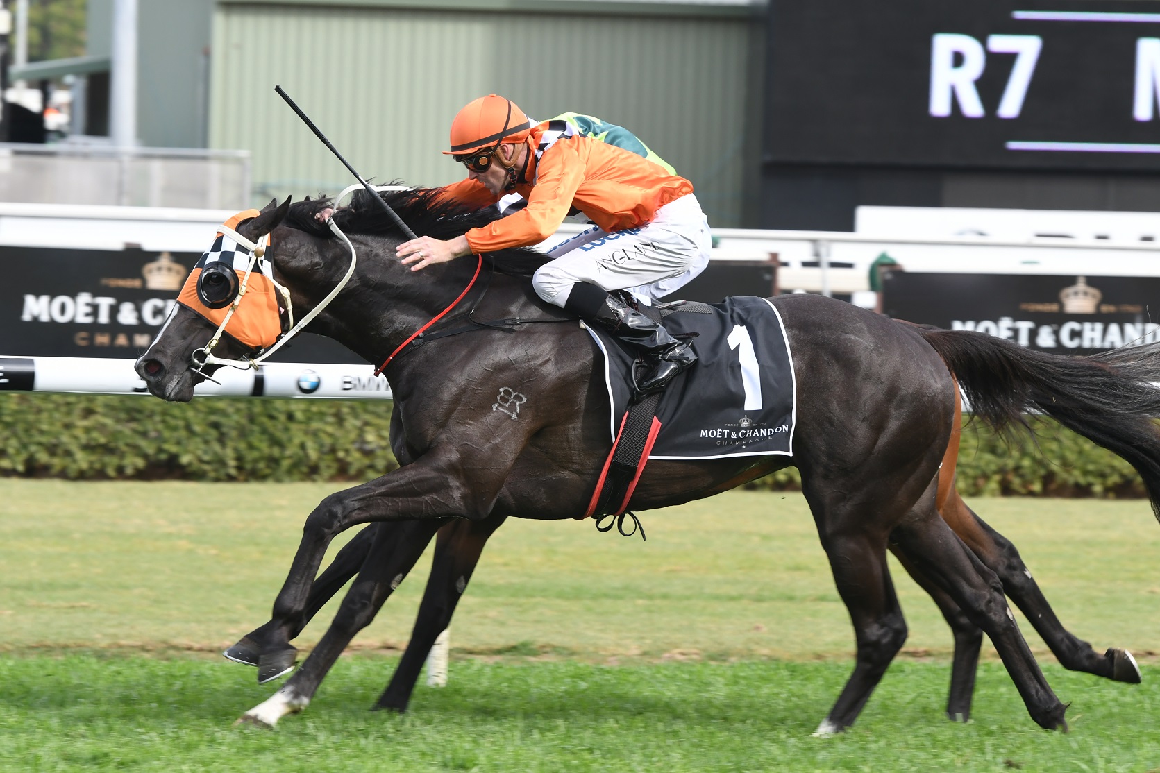 Ace High dealt new plan for Victoria Derby | Sports News Australia