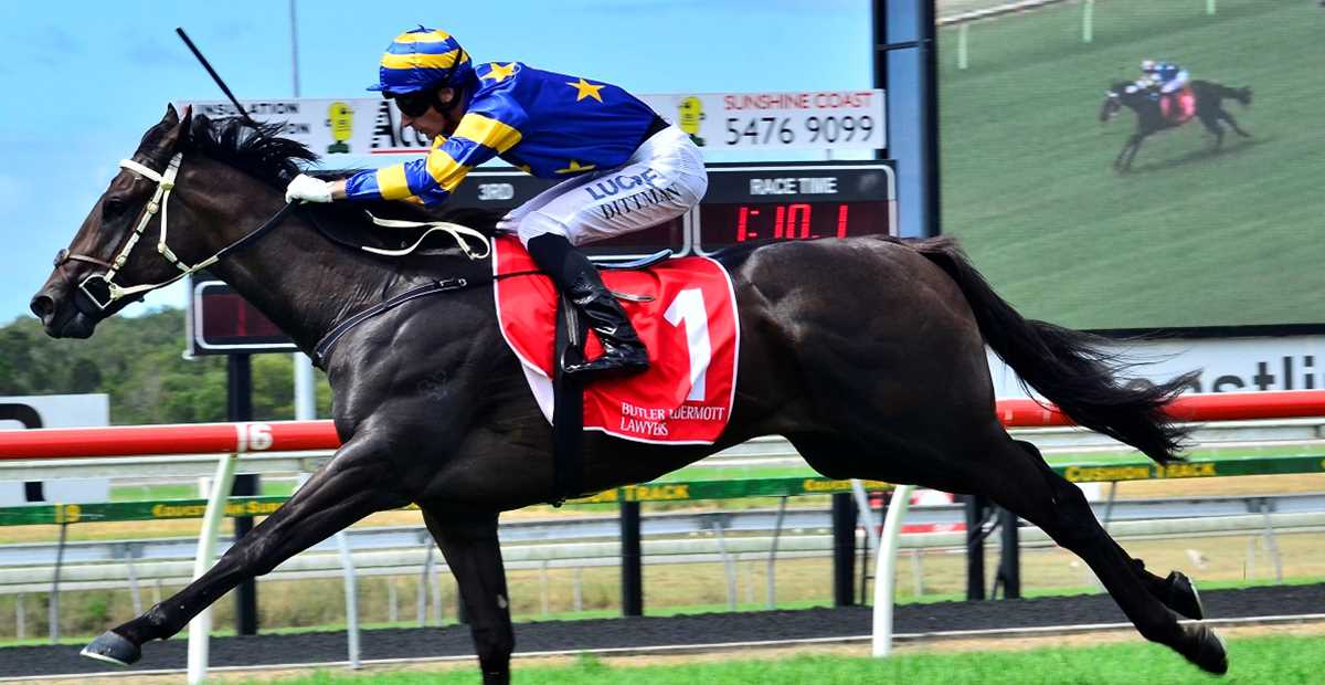 Key runner scratched from Roman Consul Stakes Field | Sports News Australia