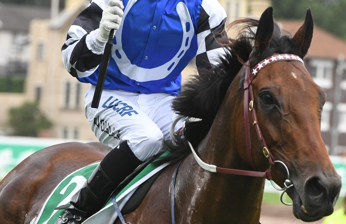 Big Duke leads home Australian Cup charge | Sports News Australia