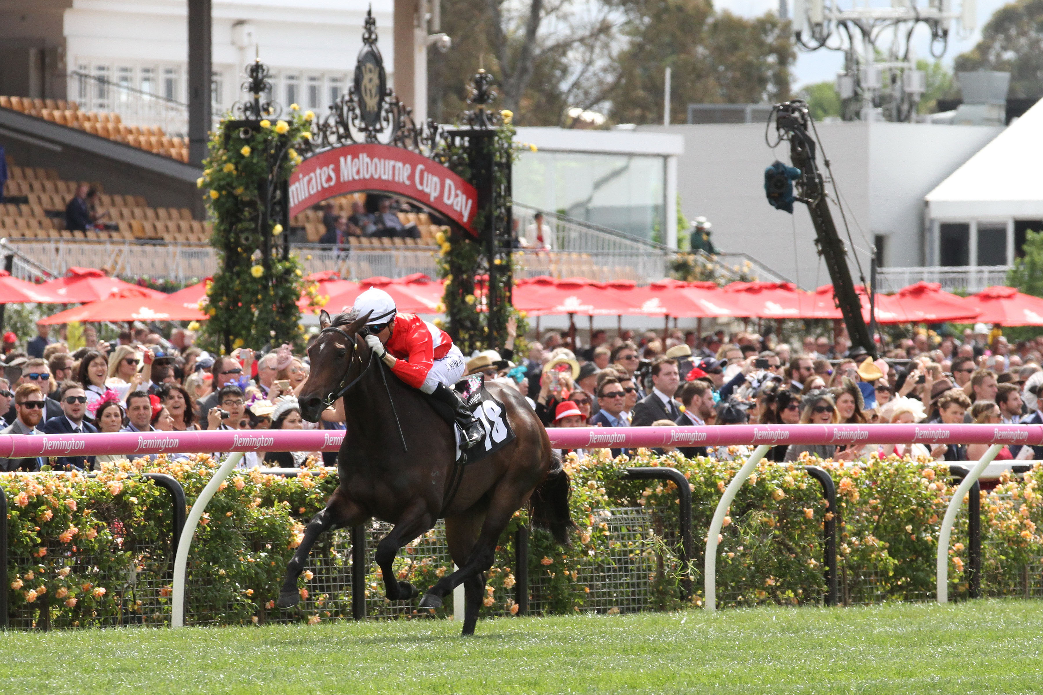 The $19.1 million week of Melbourne Spring Racing | Sports News Australia