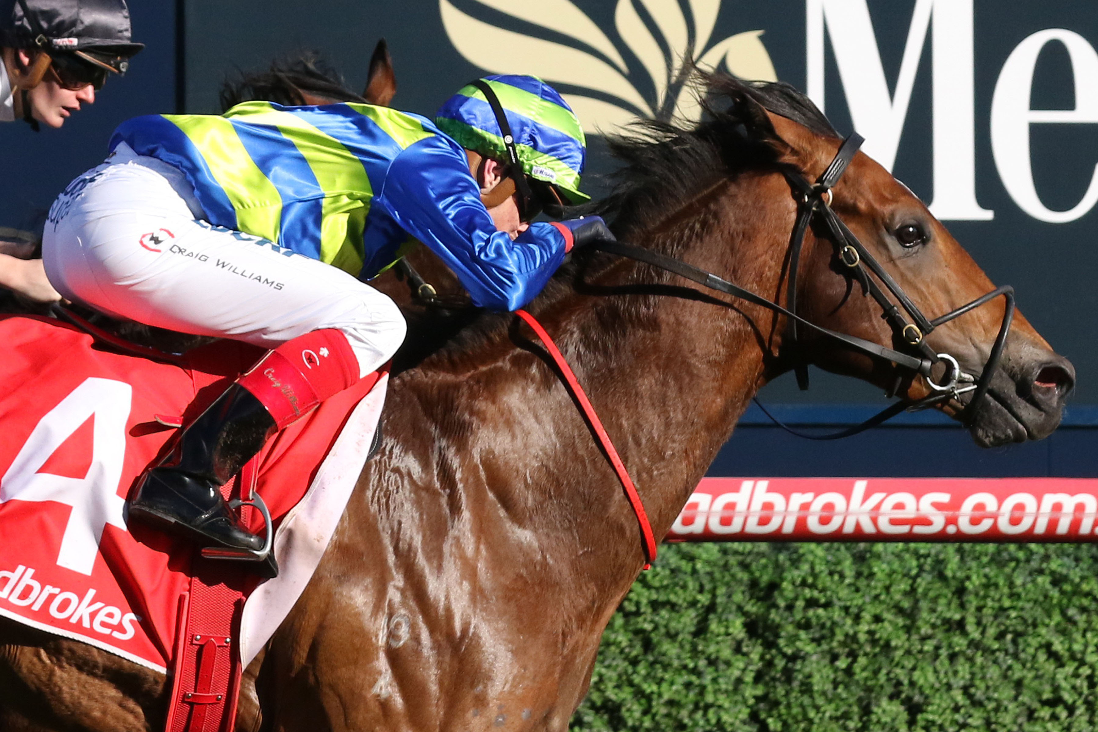 Aaron Purcell chases Group One in Coolmore Stud Stakes | Sports News ...