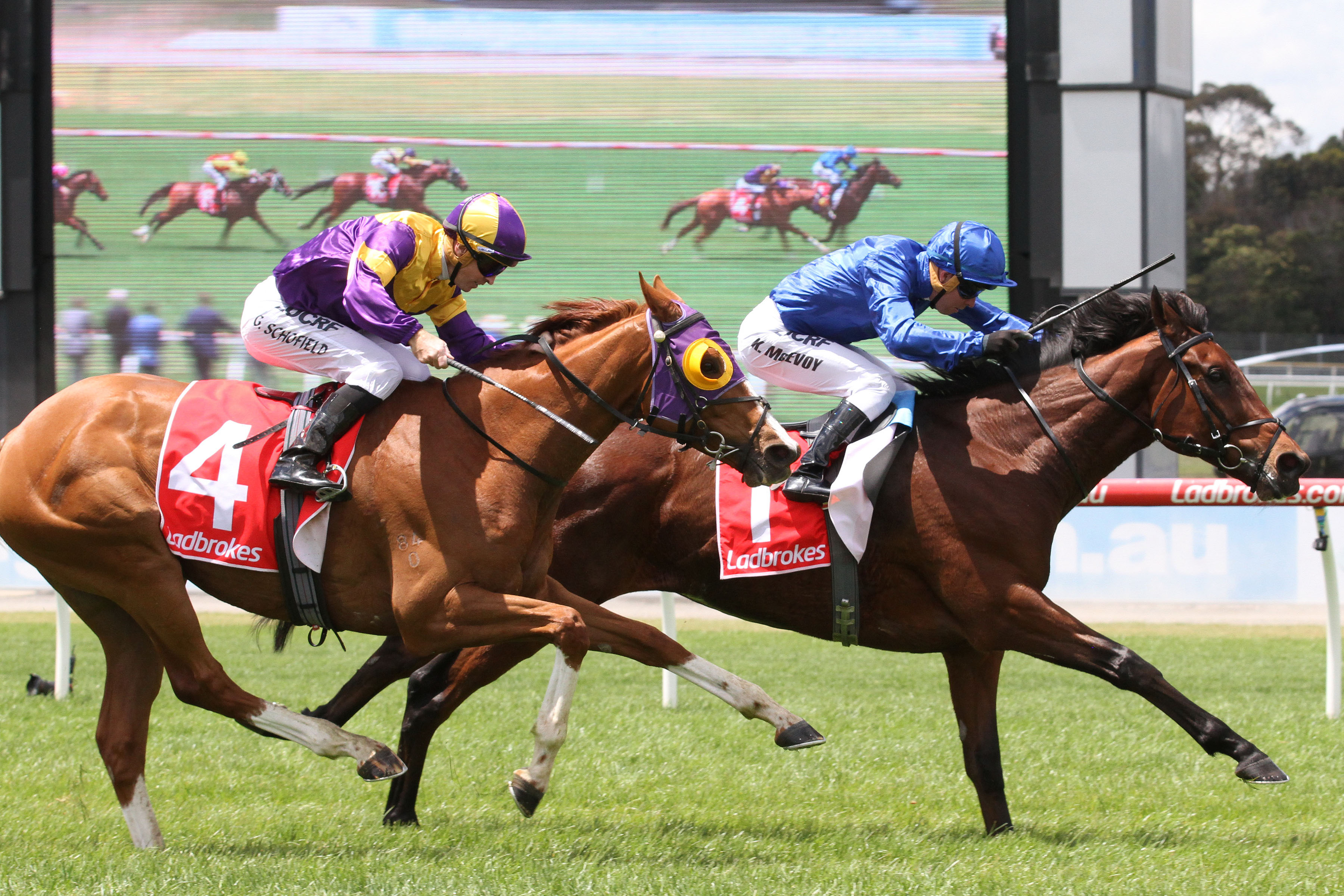 Emirates Stakes 2017 day Tips – Flemington races 11/11/2017 | Sports ...