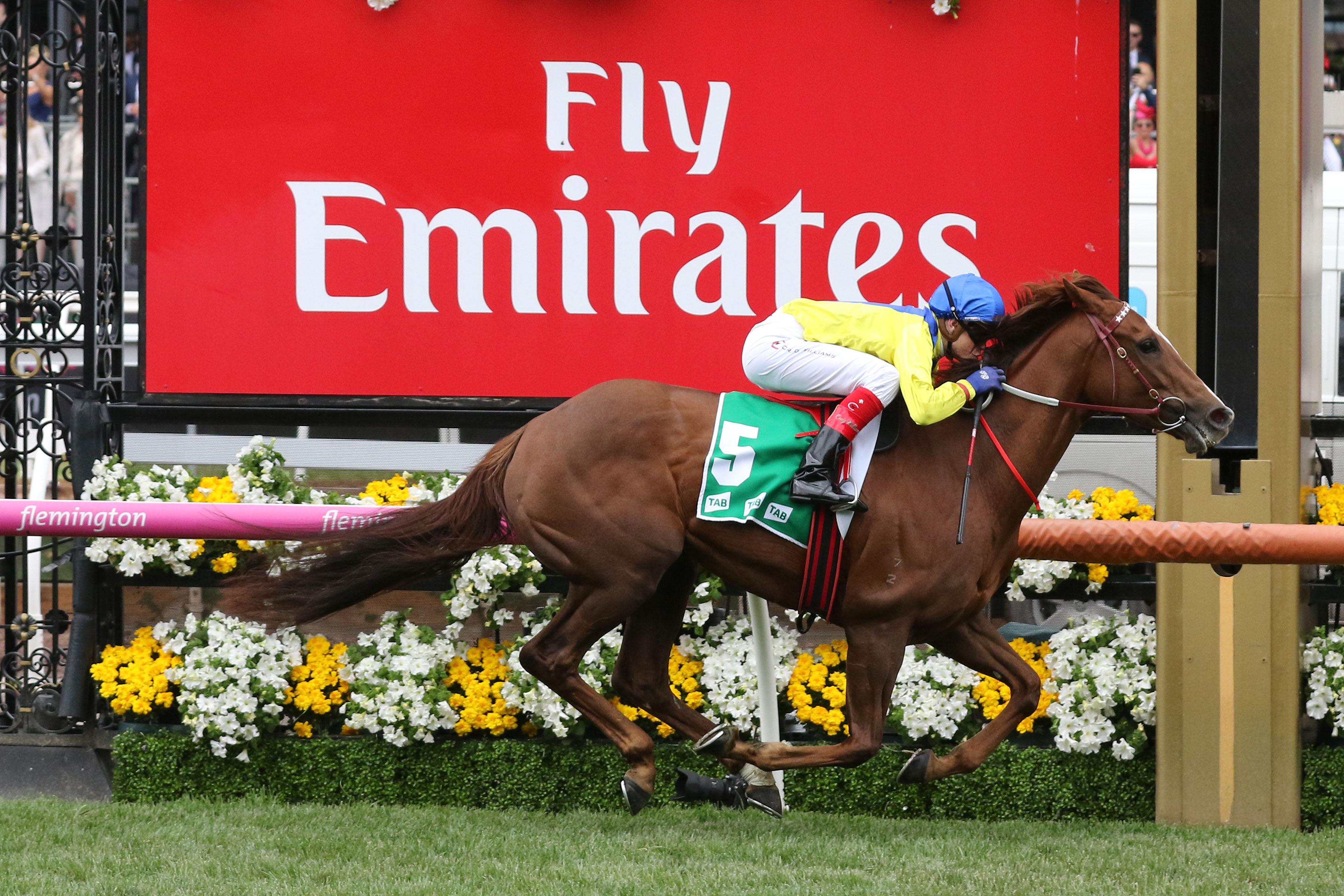 Tahanee could back-up in Matriarch Stakes | Sports News Australia