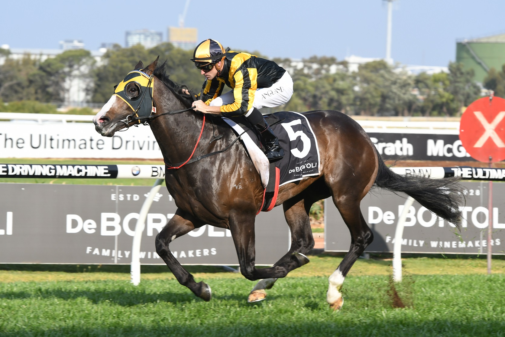 Trapeze Artist primed for the Coolmore Stud Stakes | Sports News Australia
