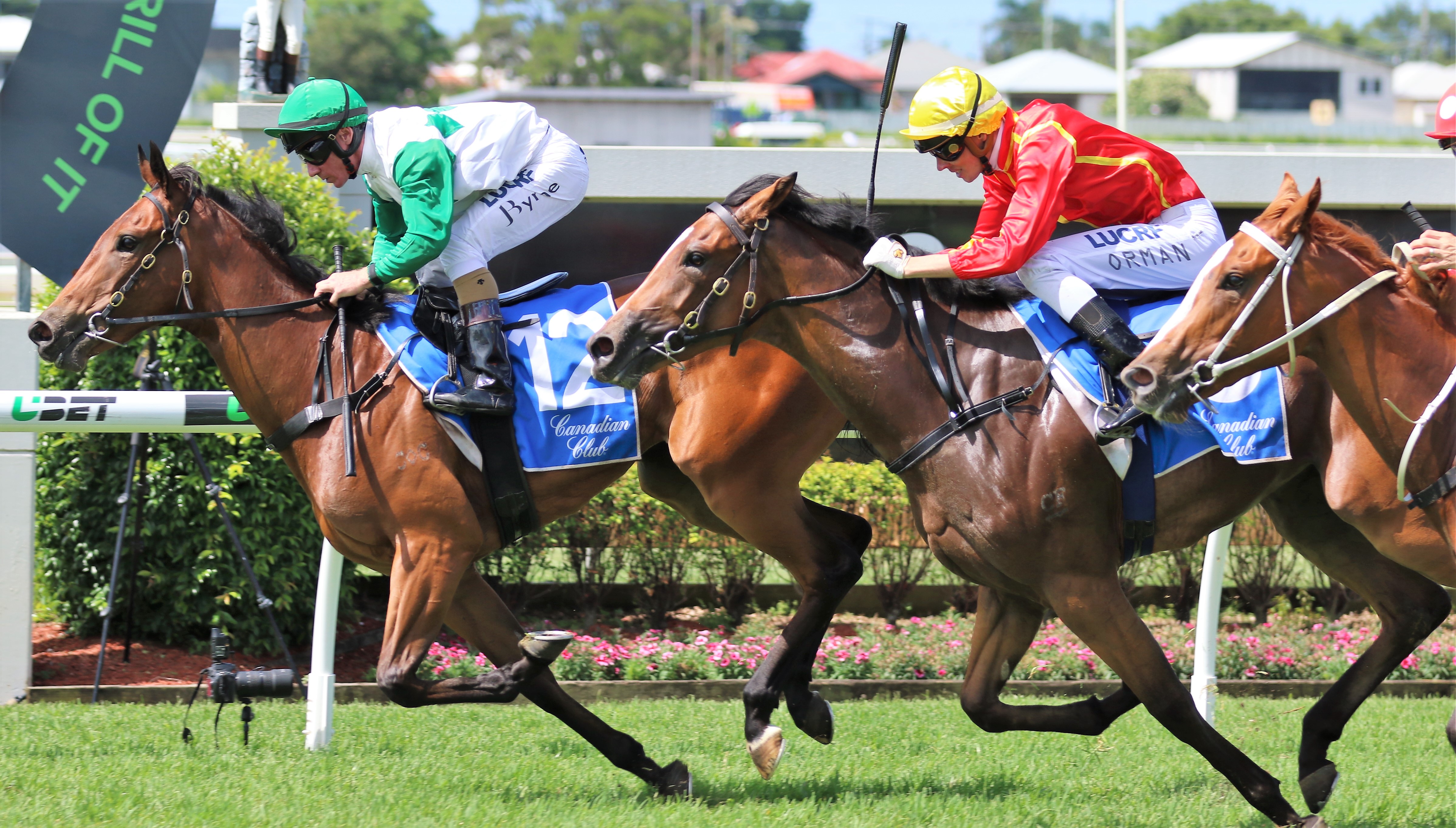 Outback Barbie races into Magic Millions Classic Field | Sports News ...