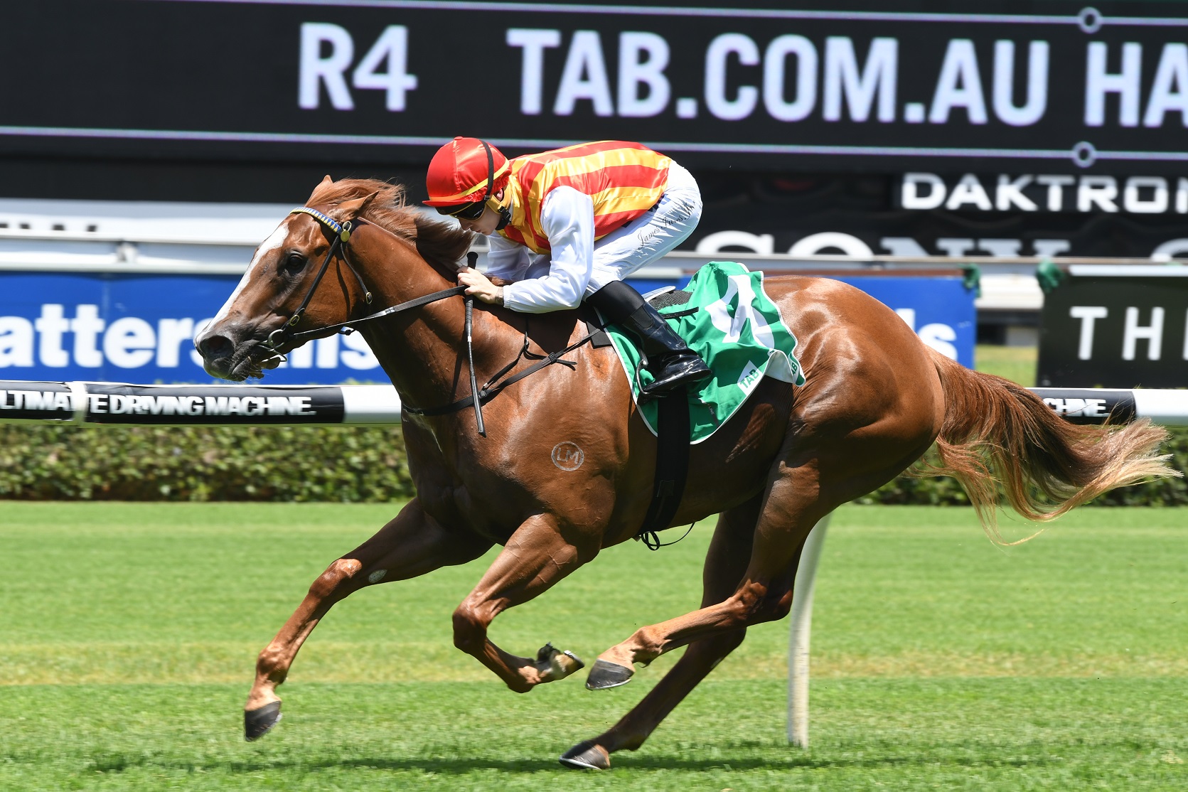 Pendeloque to target the Light Fingers Stakes | Sports News Australia