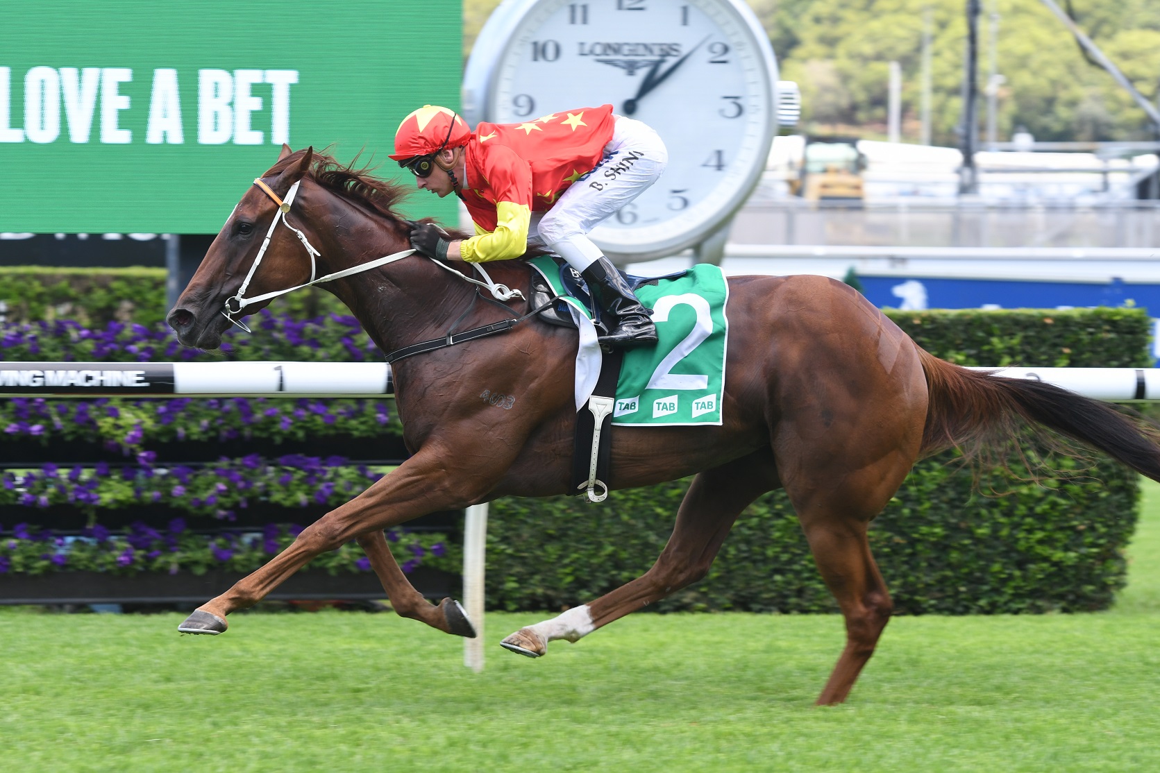 Sasso Corbaro races into Magic Millions Guineas | Sports News Australia