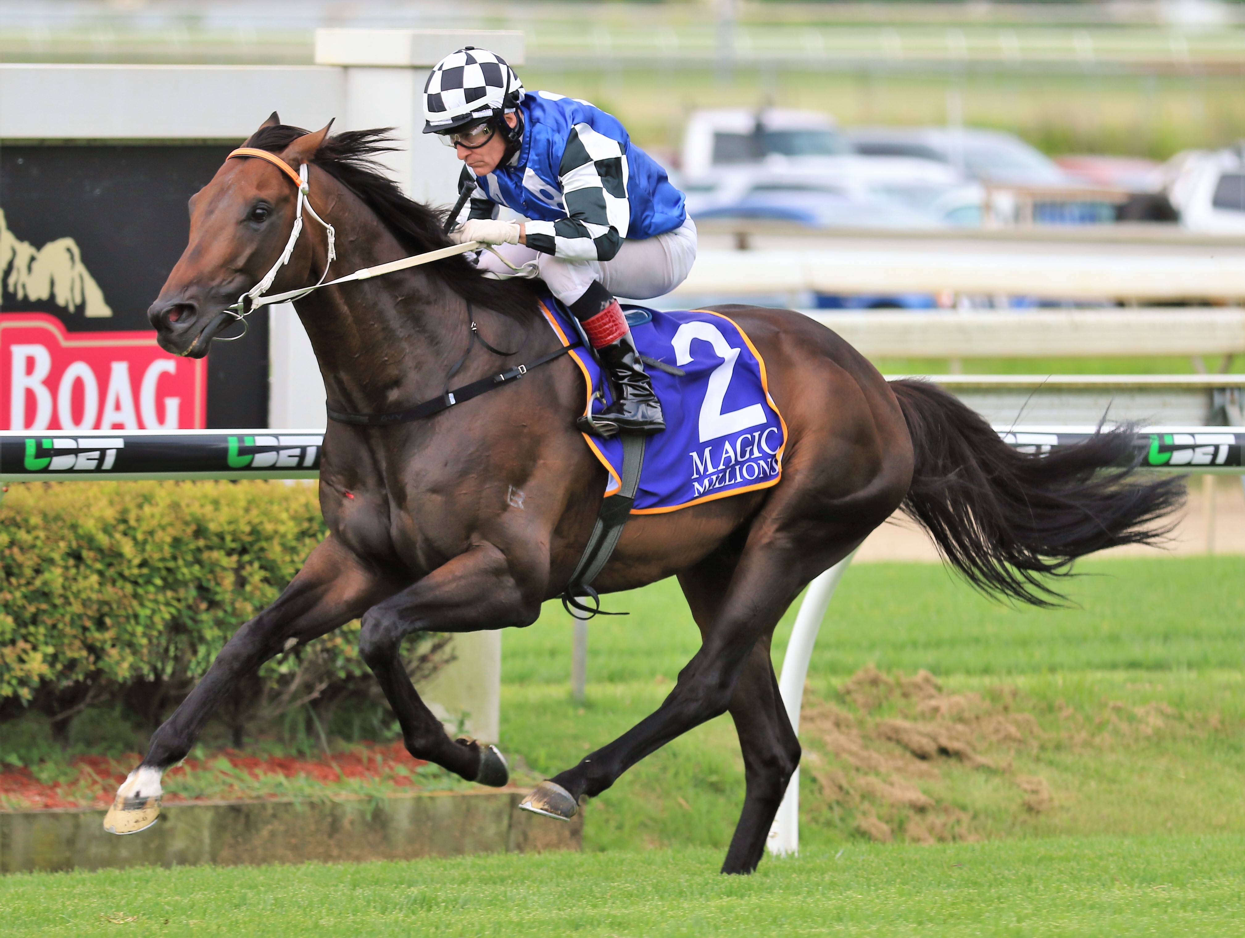 Singing all the way win in Shoot Out Quality | Sports News Australia