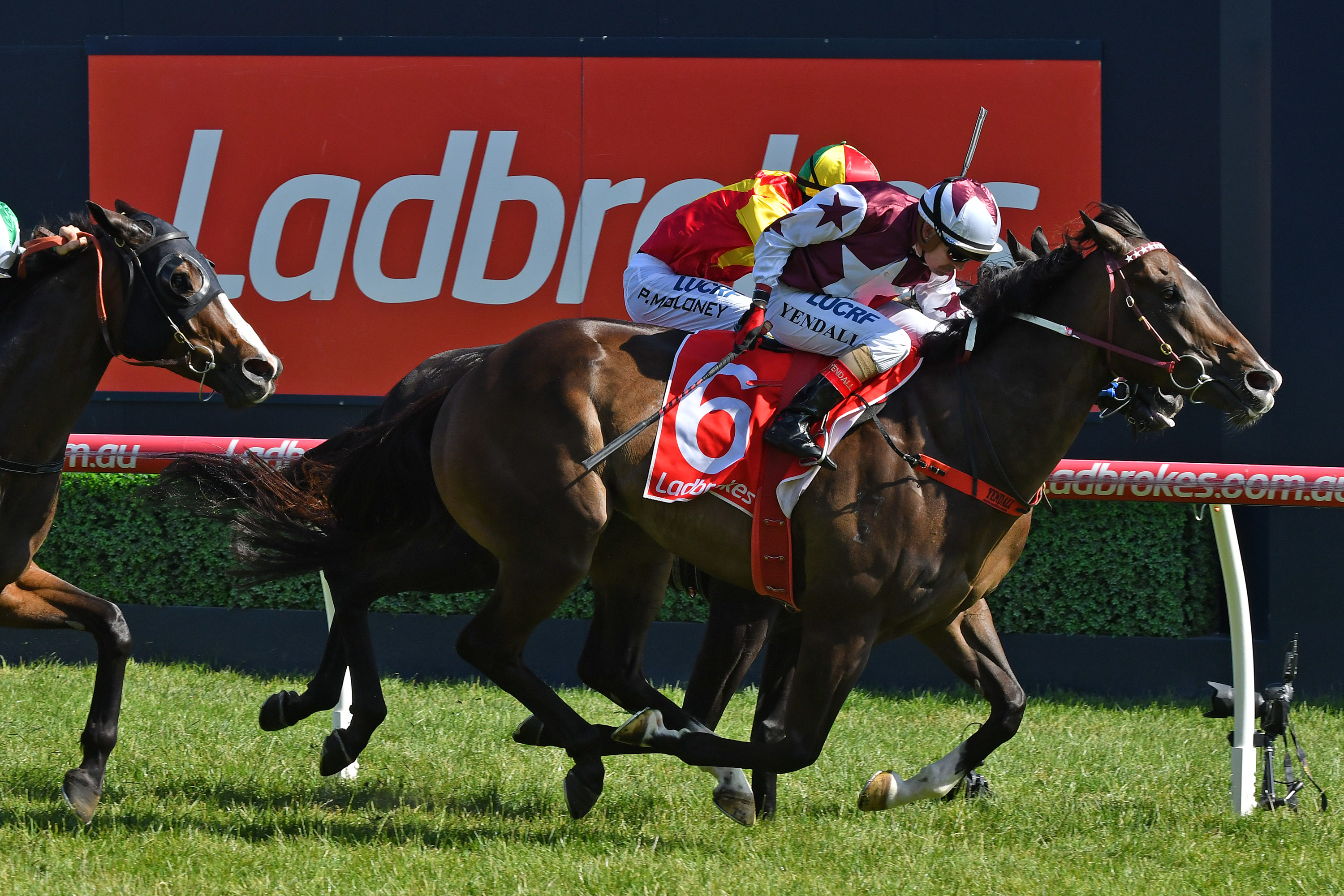 Results: Stellar Collision wins Christmas Stakes | Sports News Australia