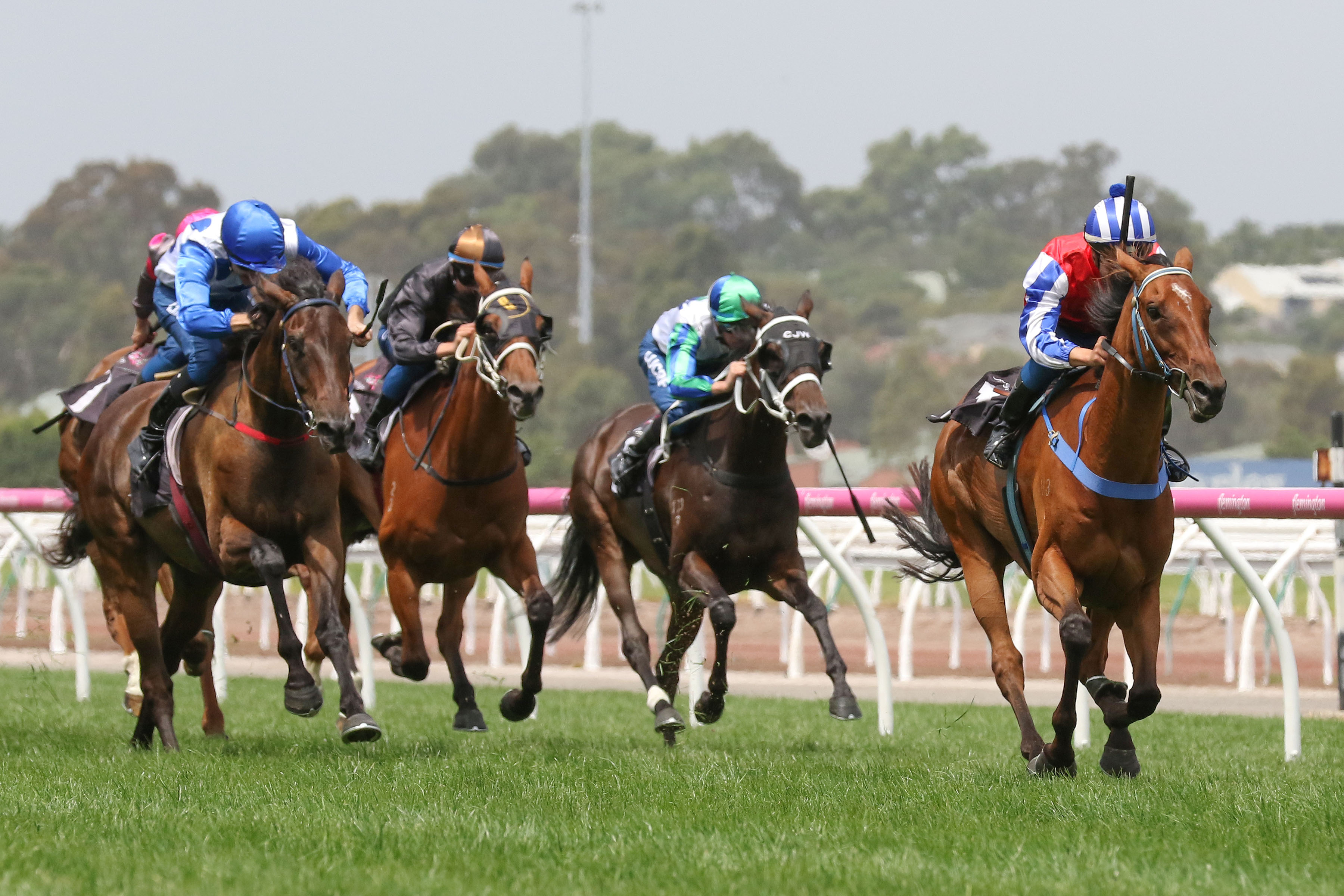 One For Later wins at Flemington at $151 | Sports News Australia