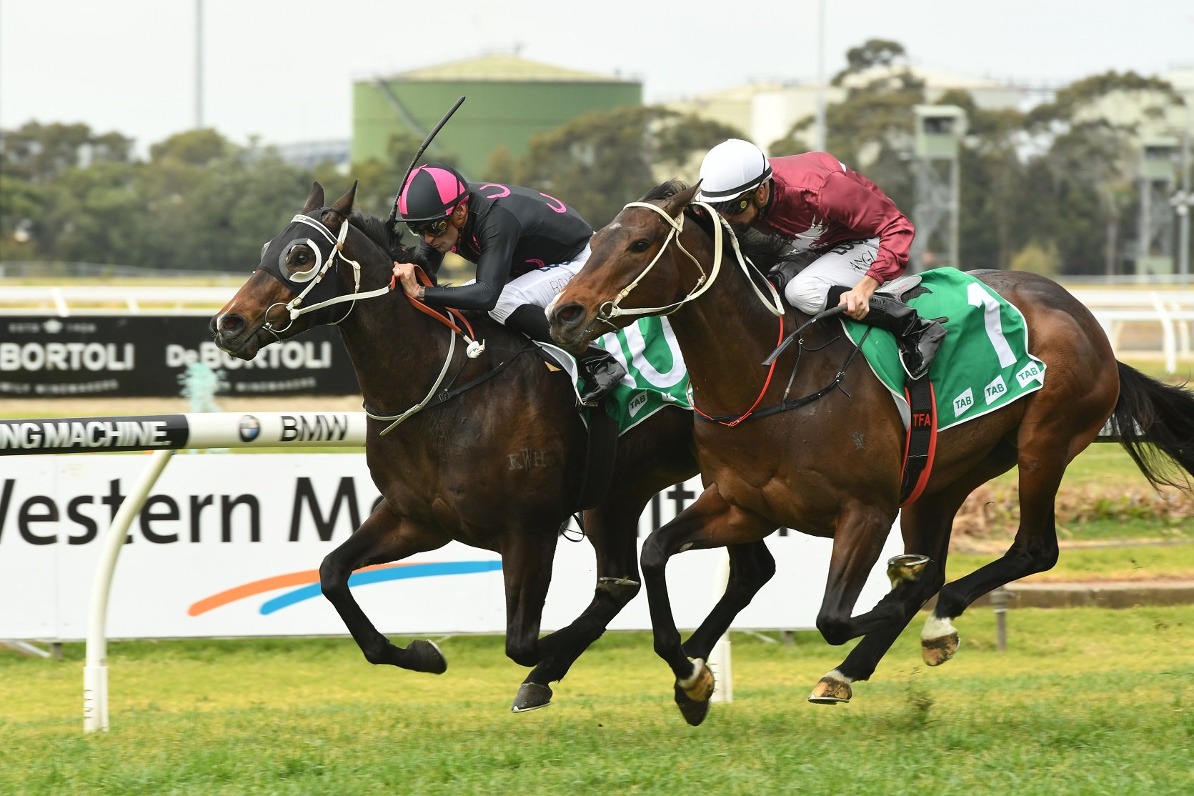 Eskimo Prince Stakes a crossroads race for Another Sin | Sports News ...