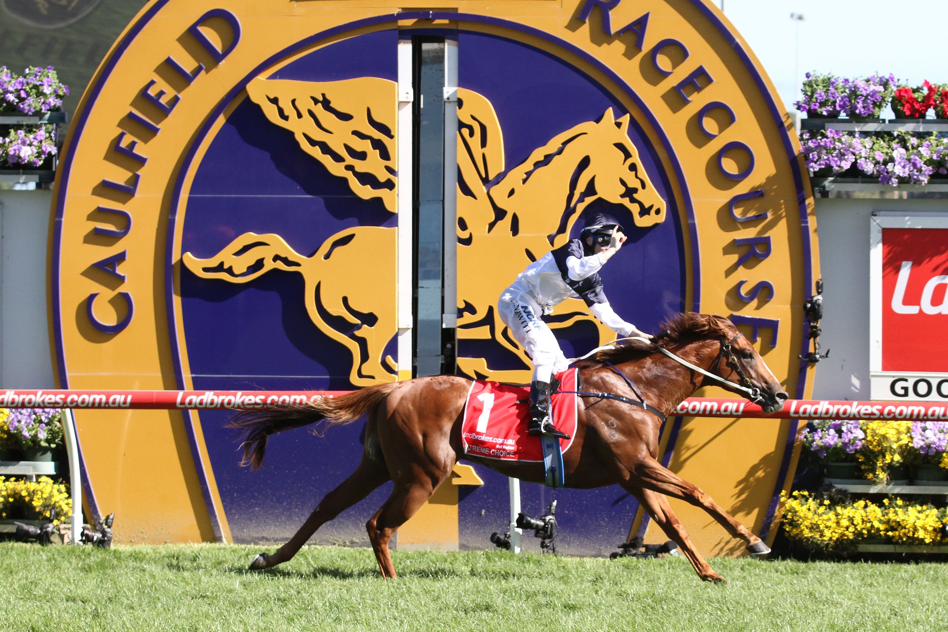 Blue Diamond Stakes 2018: Facts, Figures & Information | Sports News ...