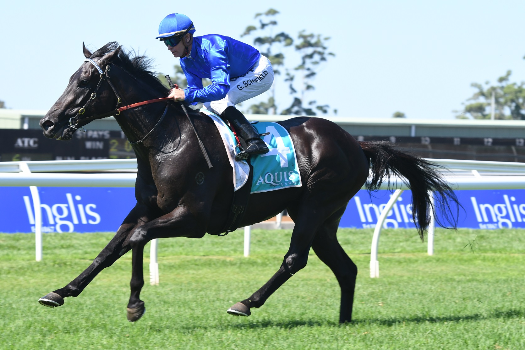 Kementari races into Doncaster Mile contention | Sports News Australia