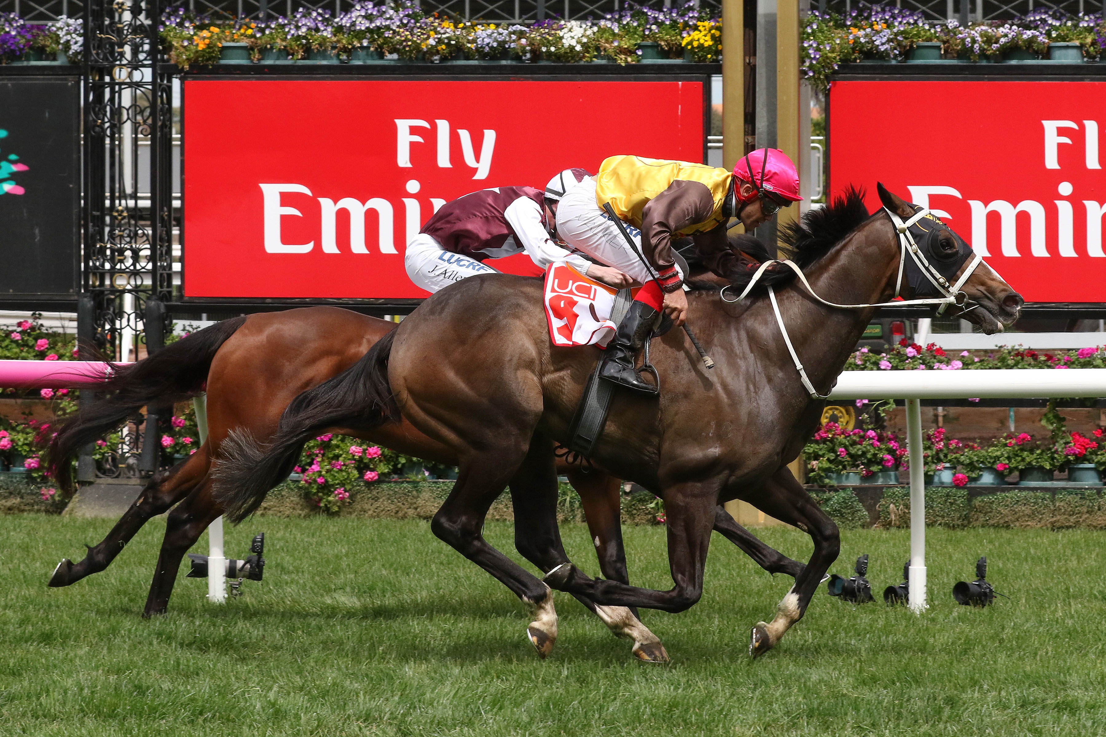 G1 contenders resume in C S Hayes Stakes Field | Sports News Australia