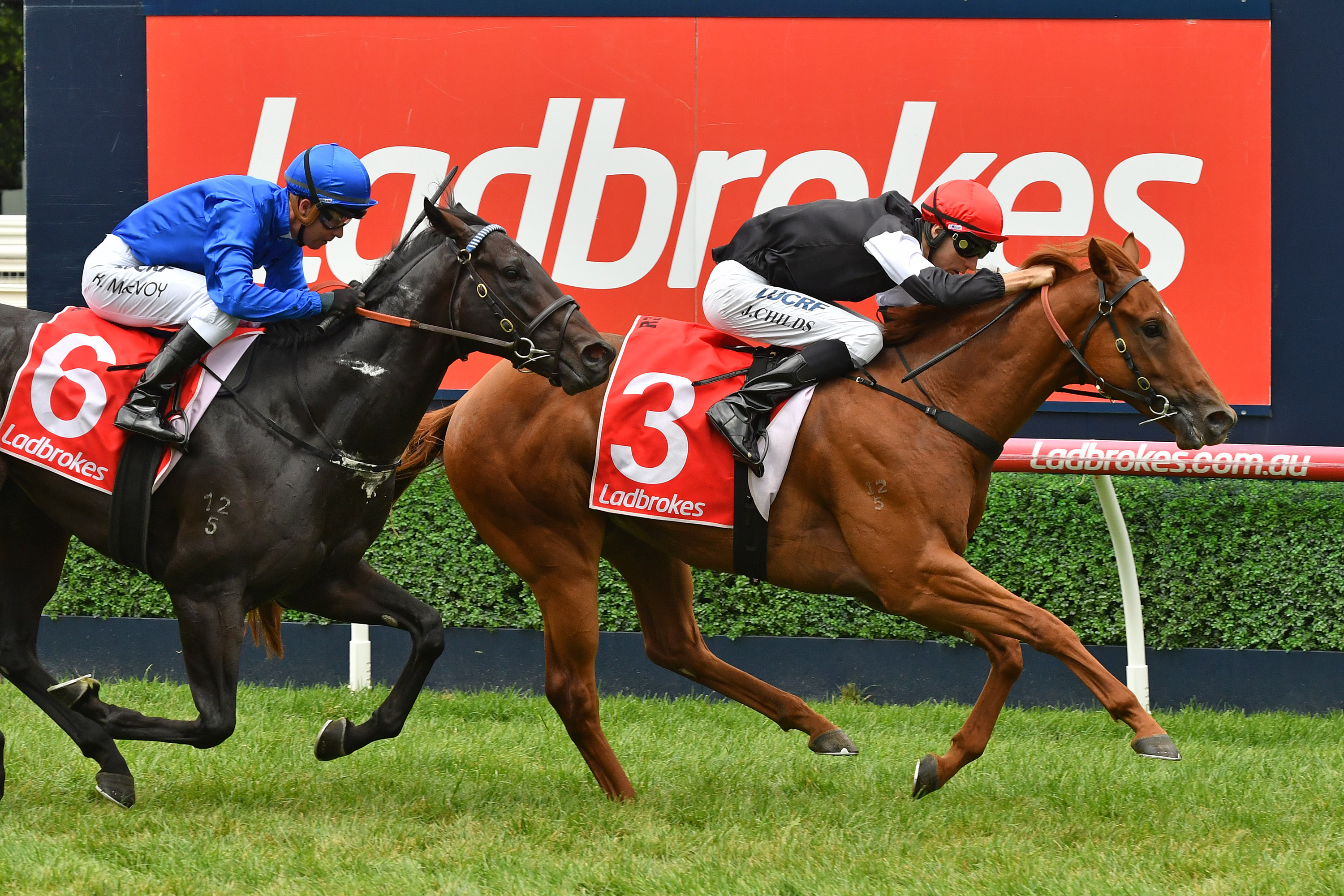 Written By aims for Blue Diamond Stakes success | Sports News Australia