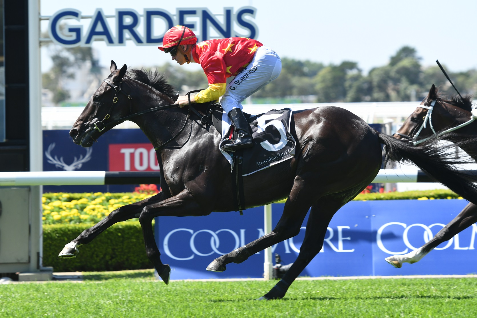 Newcastle Cup day Tips and Bets – Newcastle Races 14/9/2018 | Sports ...