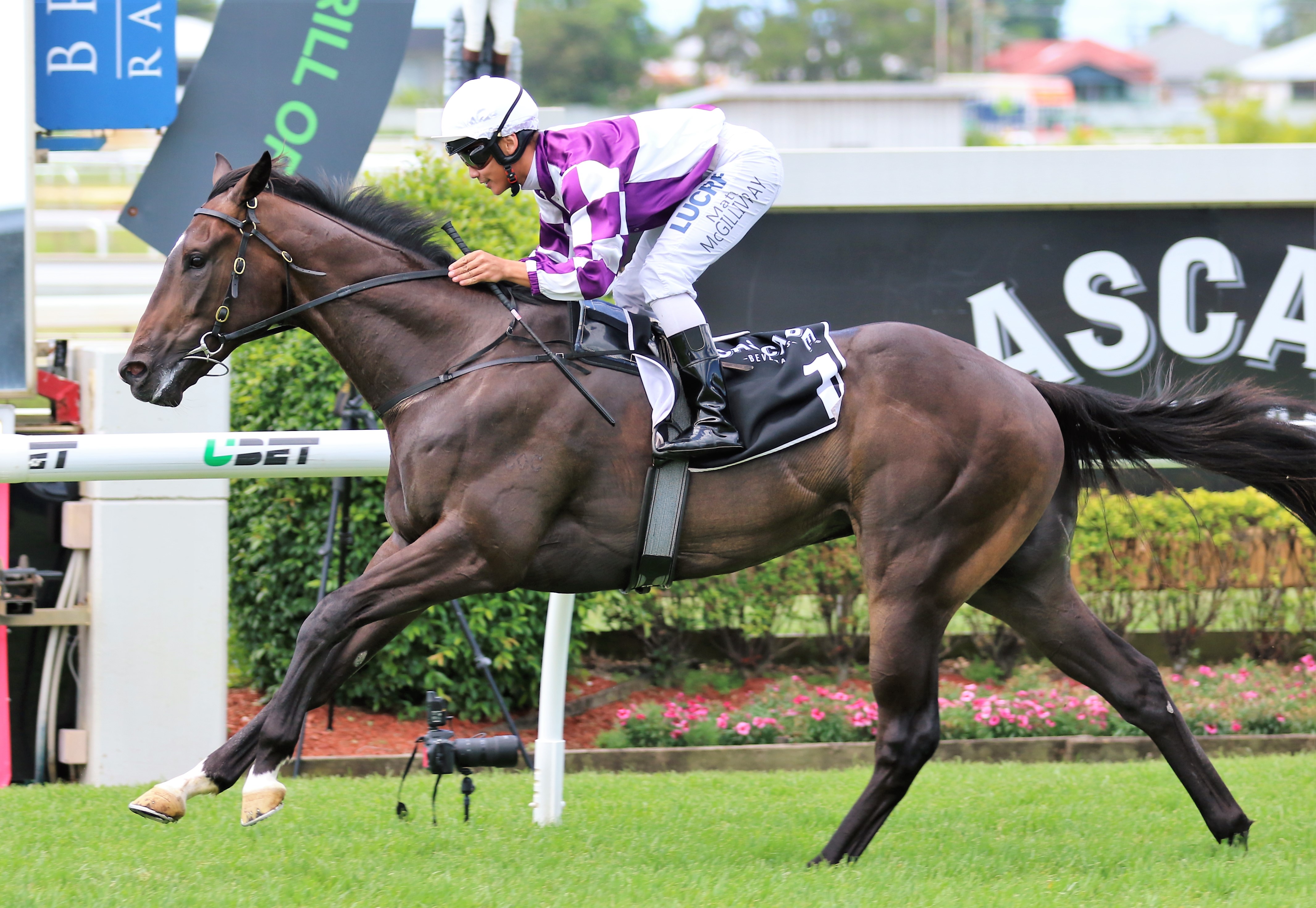 Secret Golden Slipper weapon for trainer | Sports News Australia